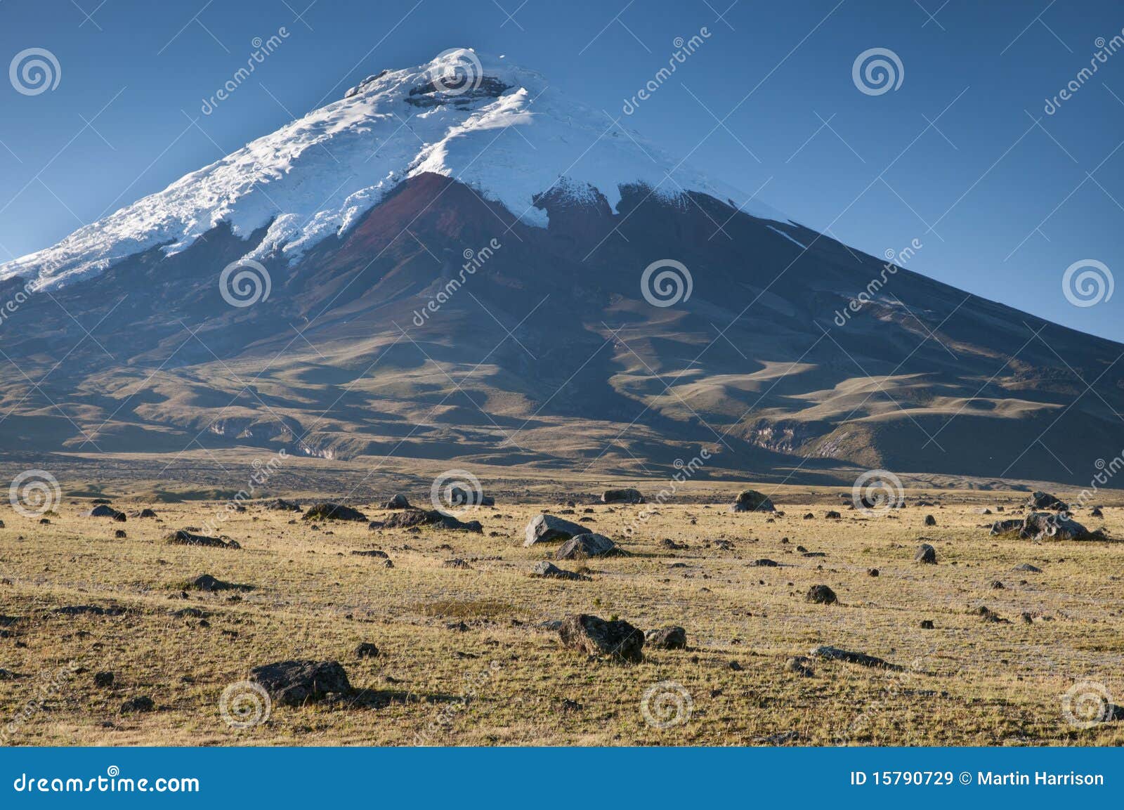 Cotopaxi ecuador vulkan fotografering för bildbyråer. Bild av ...