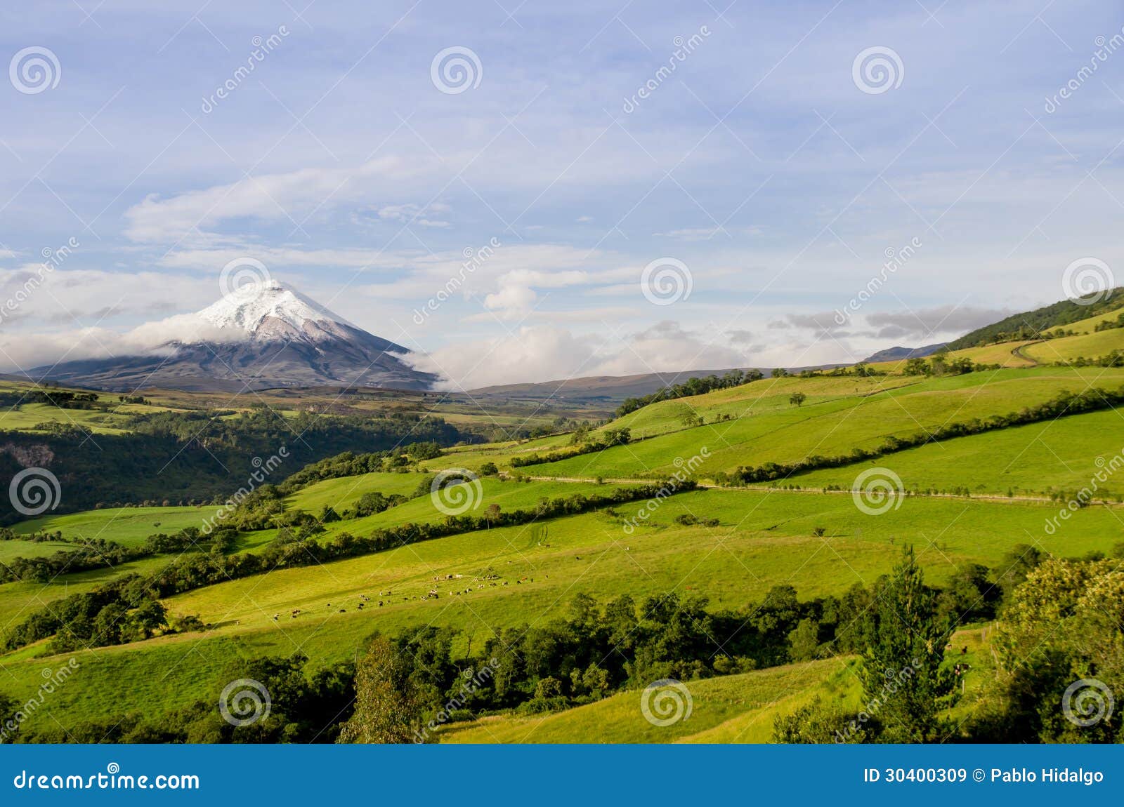 Cotopaxi-Vulkan, Ecuador. stockbild. Bild von anden, weiden - 30400309