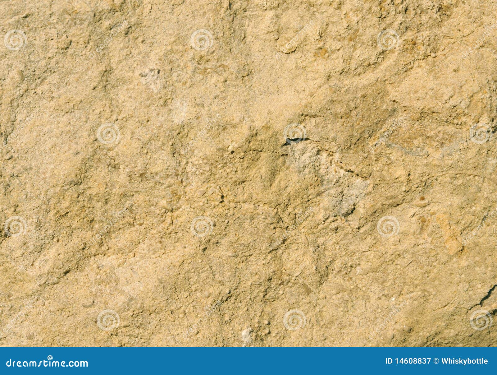 Cotswold Limestone stock image. Image of fossils, grains - 14608837