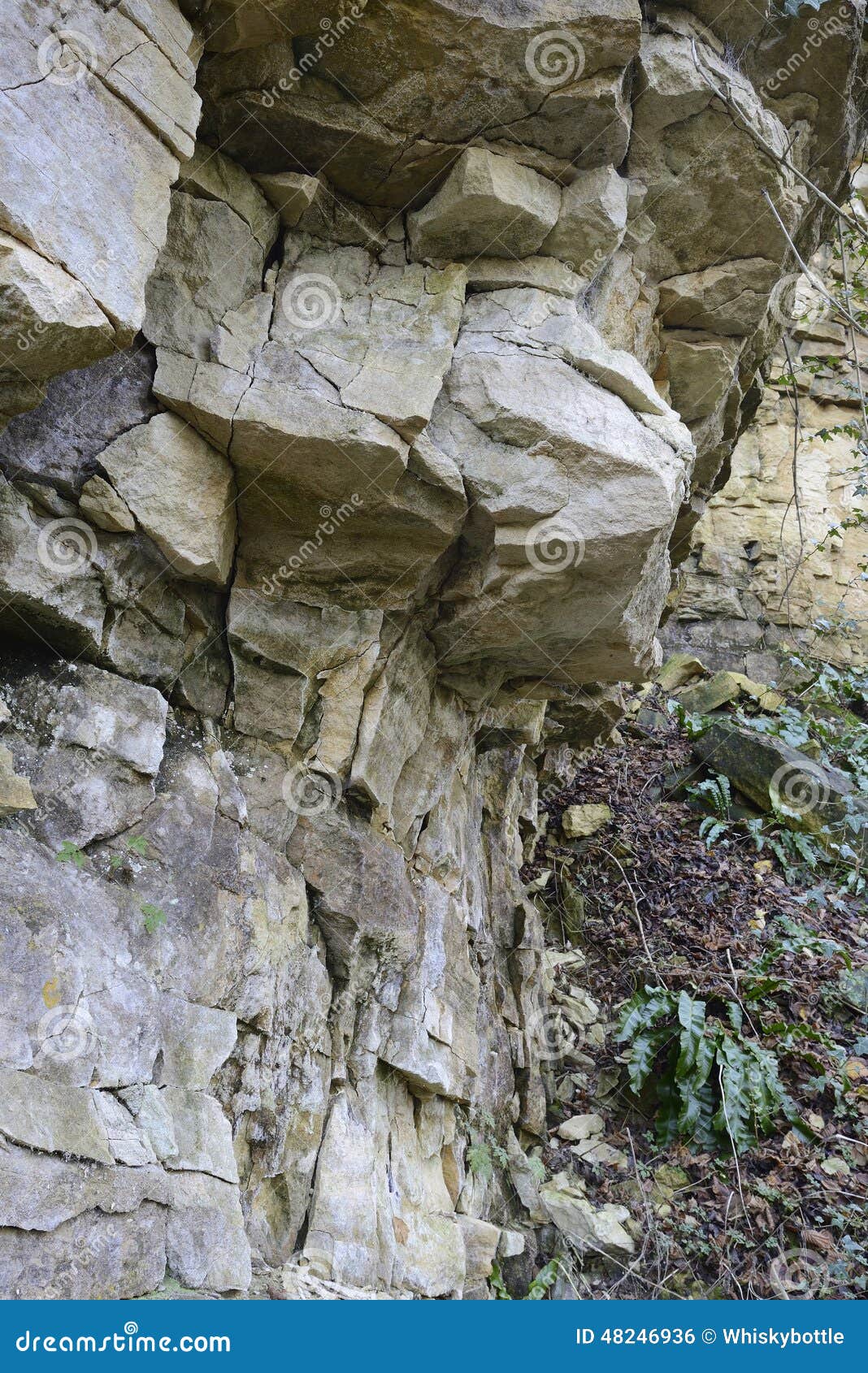 Cotswold Limestone Rock stock photo. Image of frond, wild - 48246936