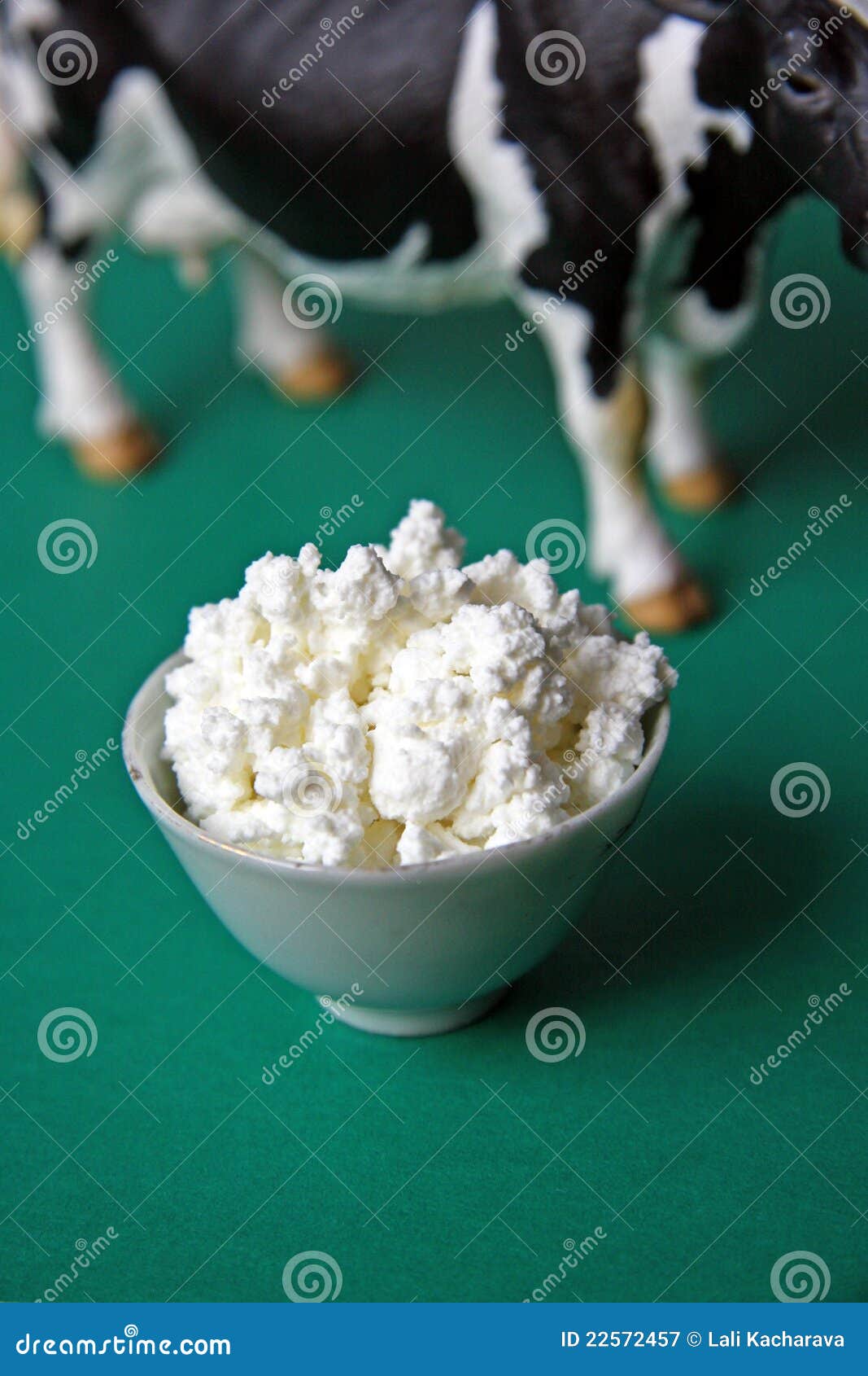 Cottage cheese stock image. Image of cheese, granular - 22572457