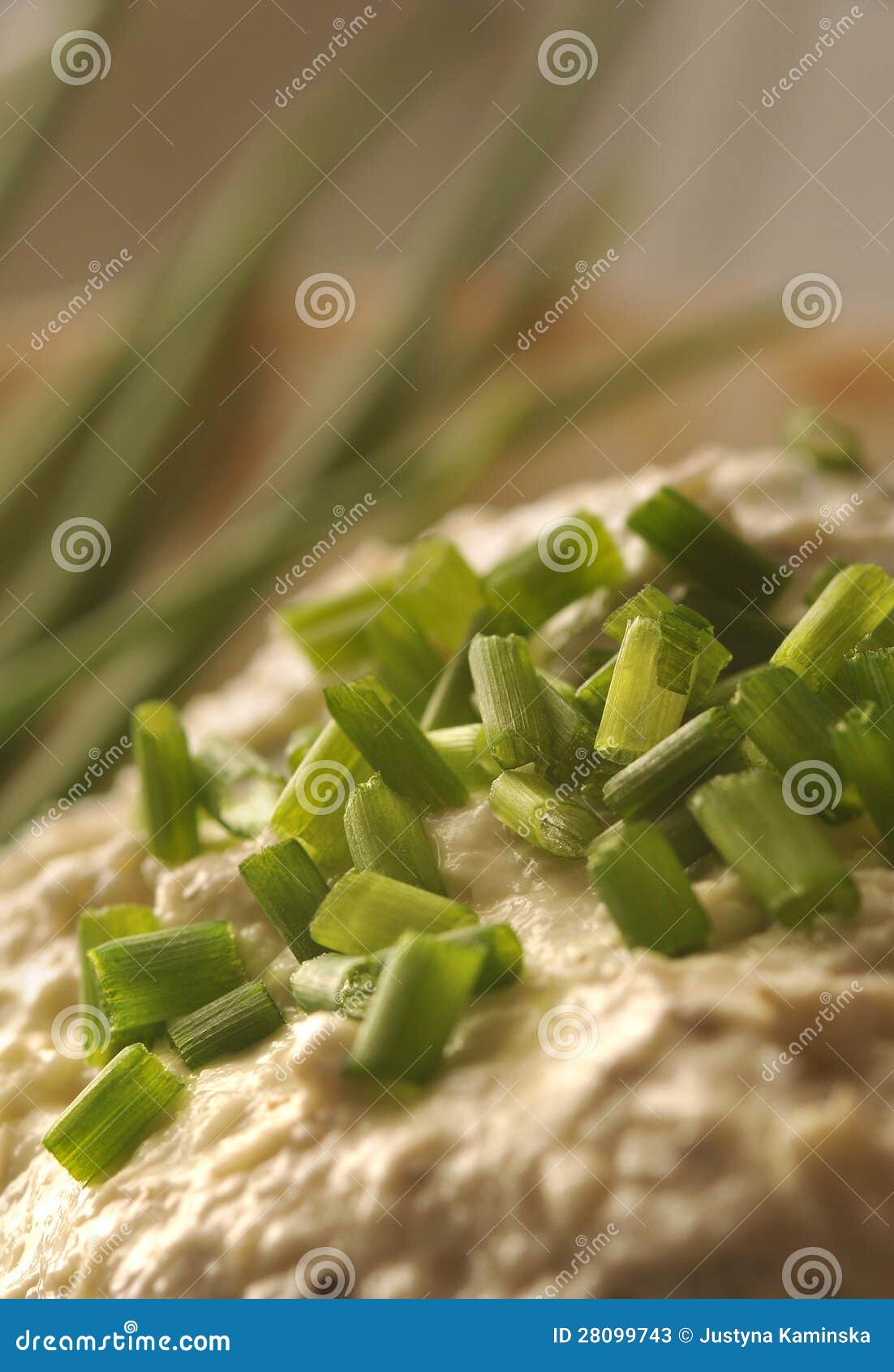 Cottage cheese with chives stock image. Image of herb - 28099743