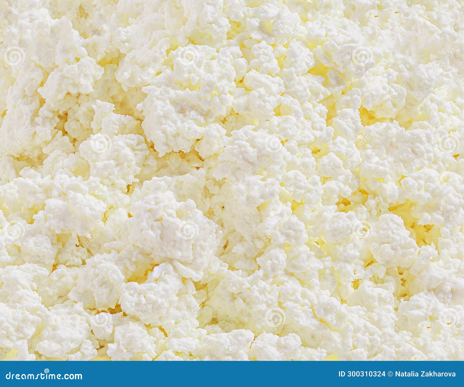 Cottage Cheese Pattern. Fresh Grainy Cottage Cheese or Feta As a ...