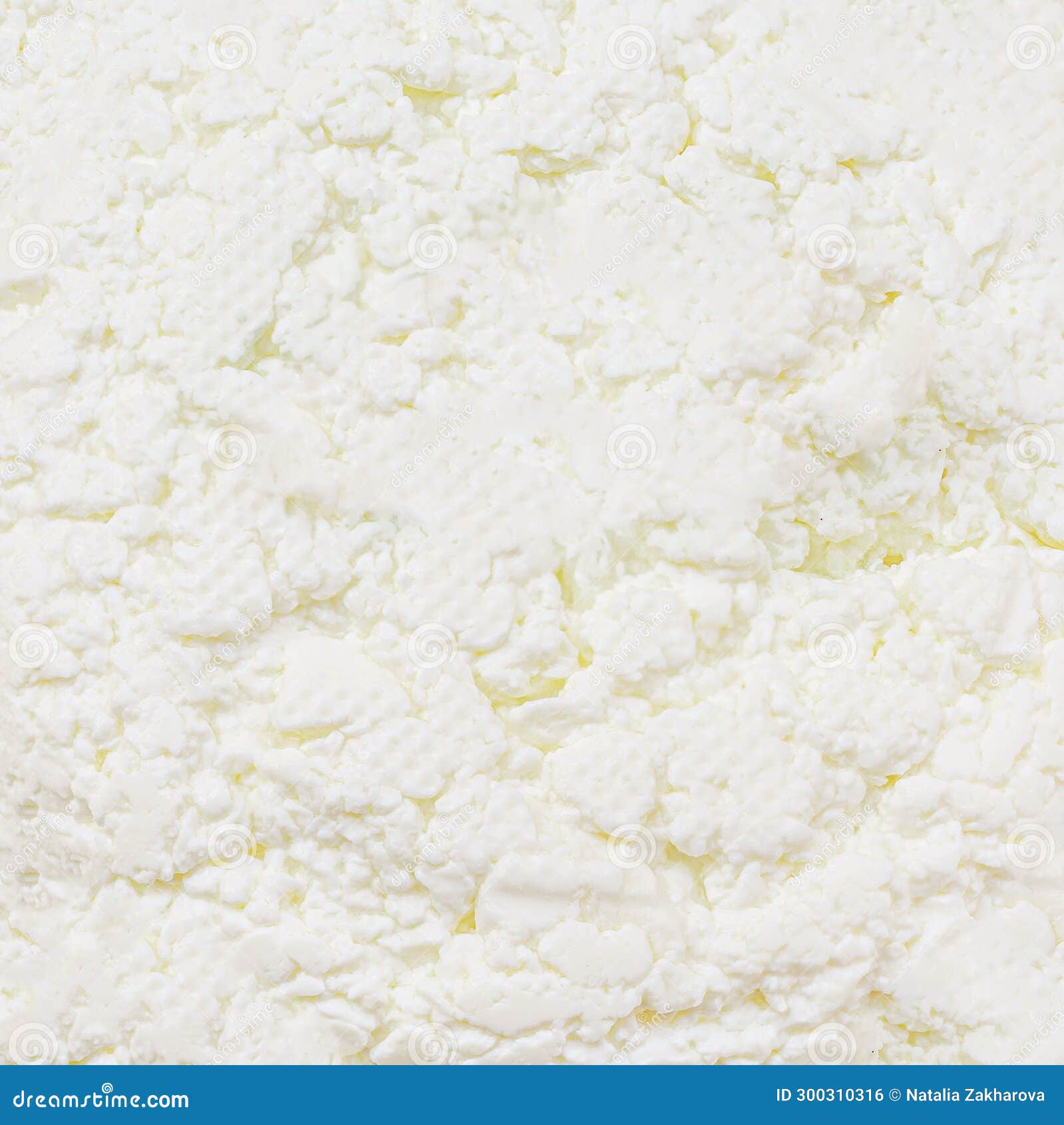 Cottage Cheese Pattern. Fresh Grainy Cottage Cheese or Feta Diary ...
