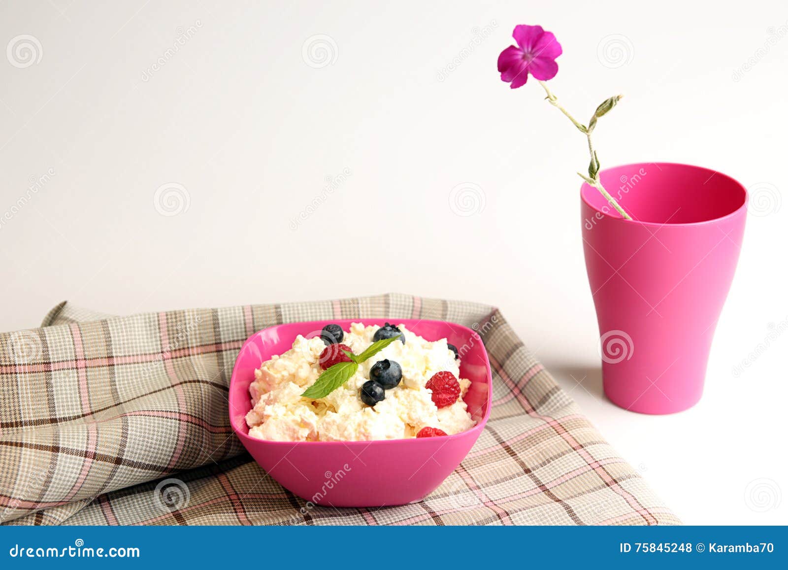 Cottage Cheese in Pink Plastic Bowl Decorated Mint and Berry. Stock ...