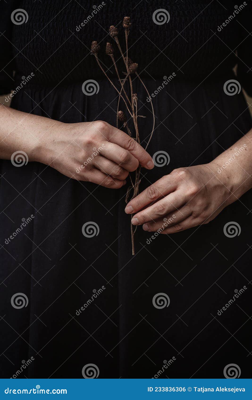 Cottage core hands stock photo. Image of cottagecore - 233836306