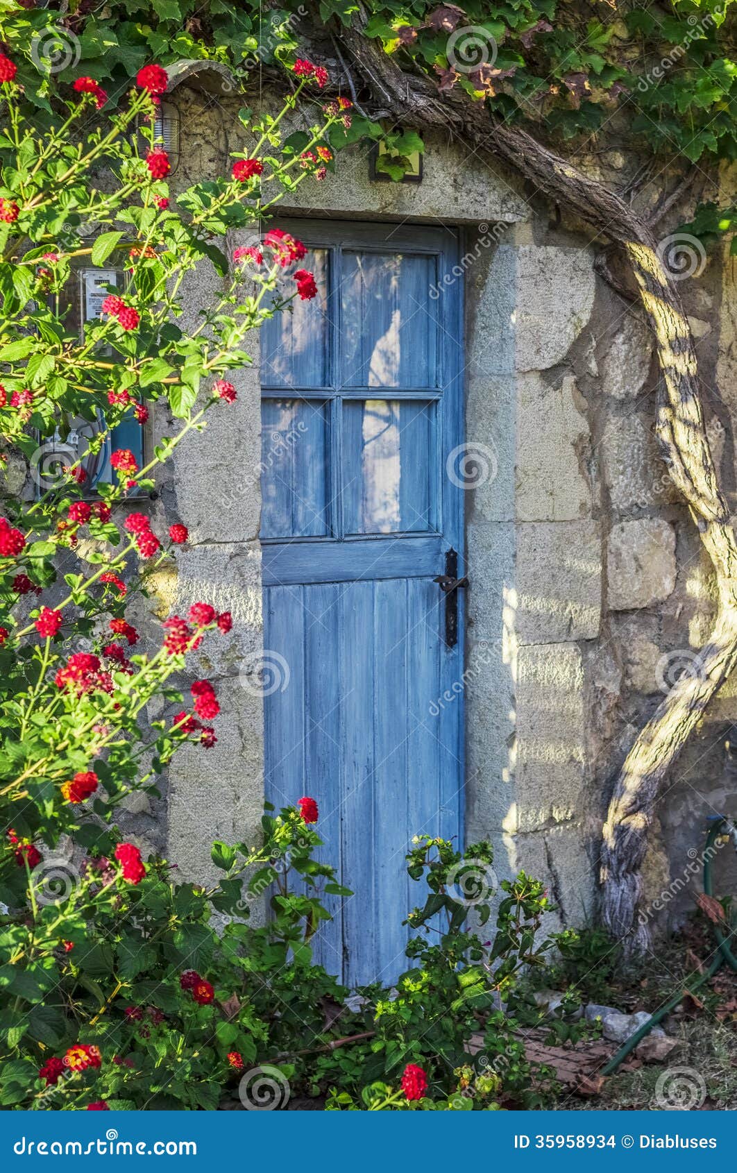 Cottage door stock photo. Image of colors, wood, door - 35958934