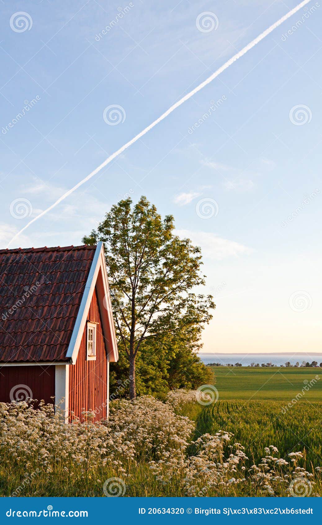 Cottage and field. stock photo. Image of beauty, color - 20634320