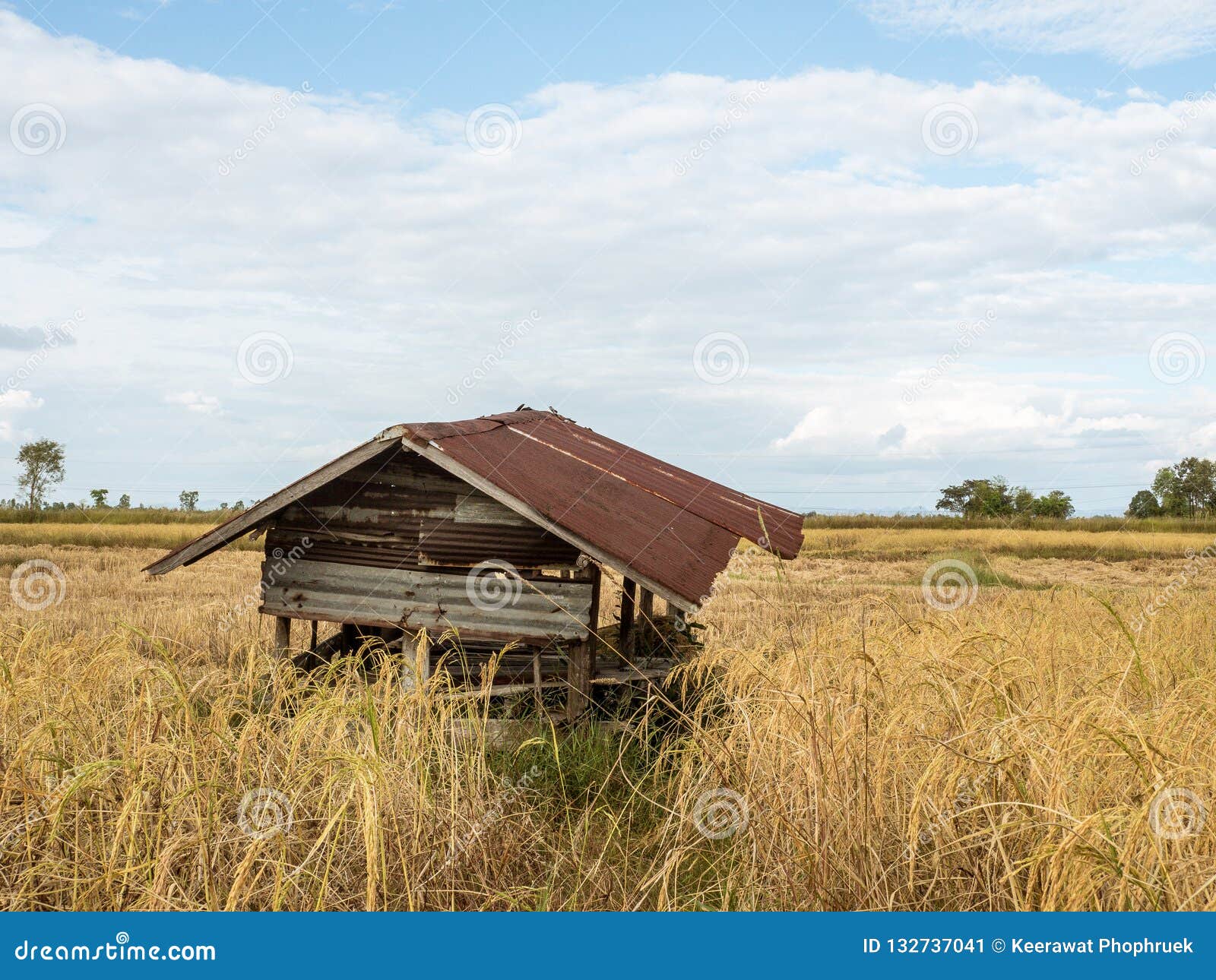 The farmer s cottage stock image. Image of nature, cottage - 132737041