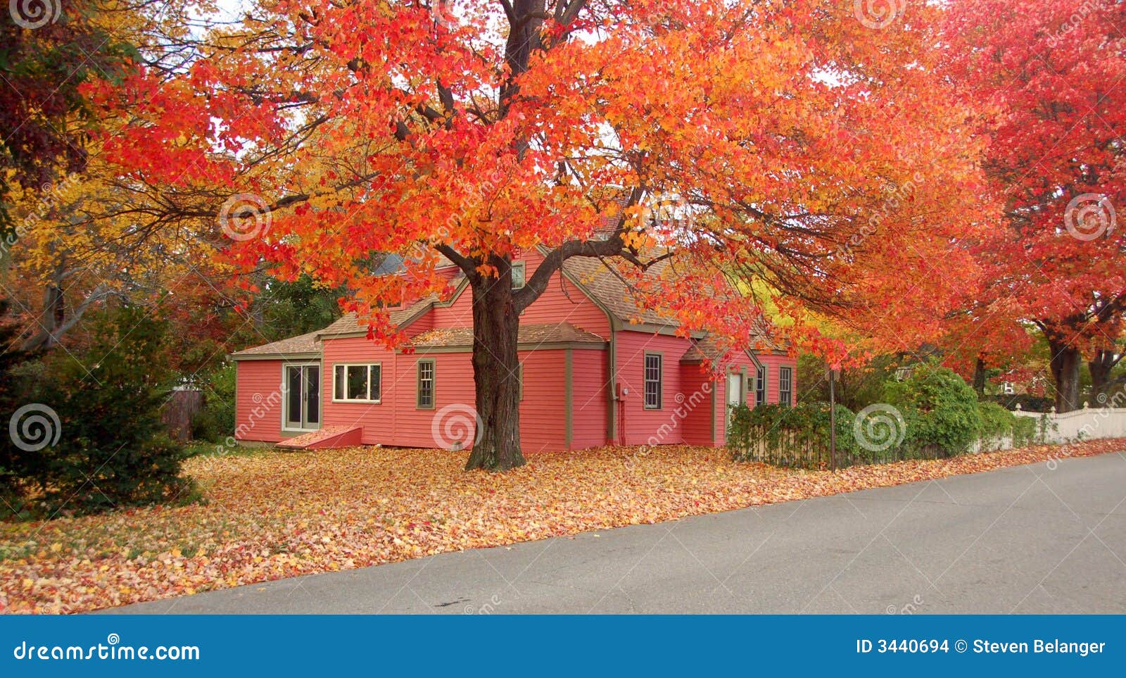 Cottage during Foliage Season Stock Photo - Image of leaves, backyard ...