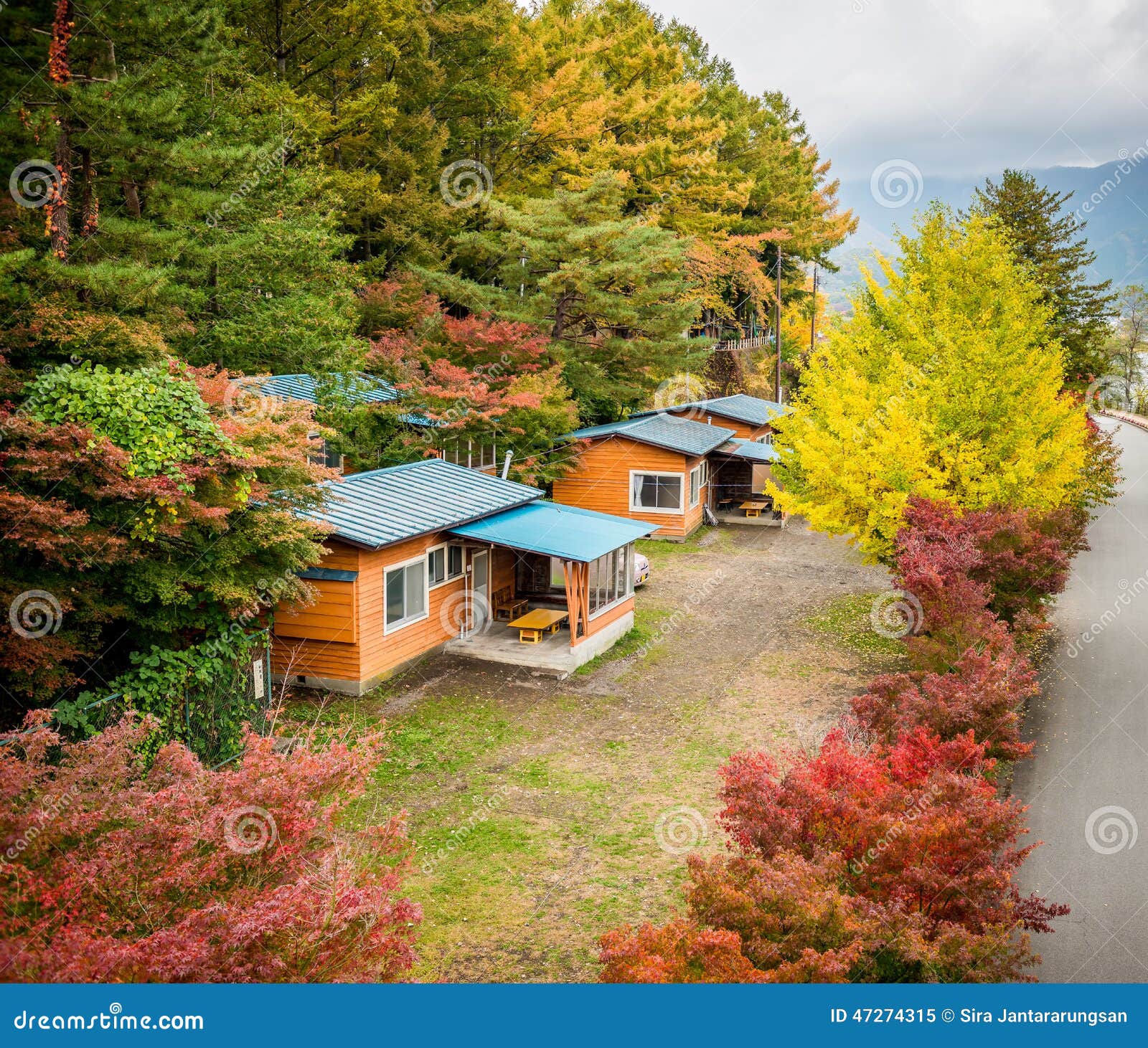 Cottage in the forest stock image. Image of outdoor, nature - 47274315