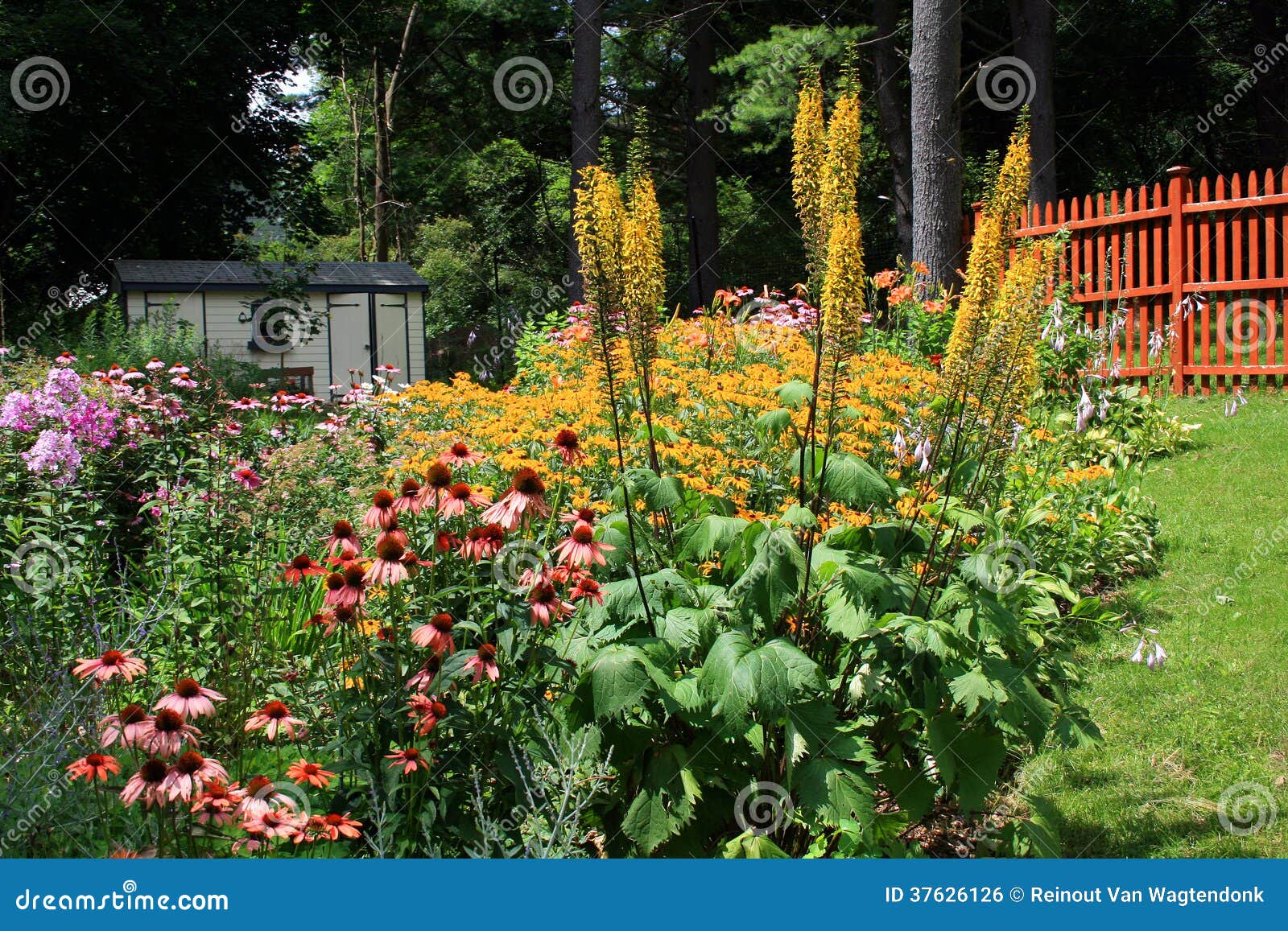 Cottage garden scene stock photo. Image of calm, garden - 37626126