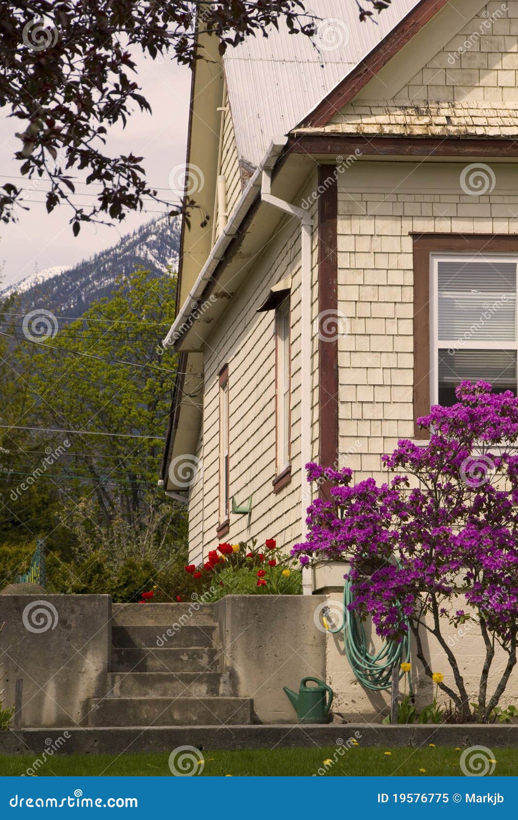 Cottage garden in spring stock image. Image of steps - 19576775