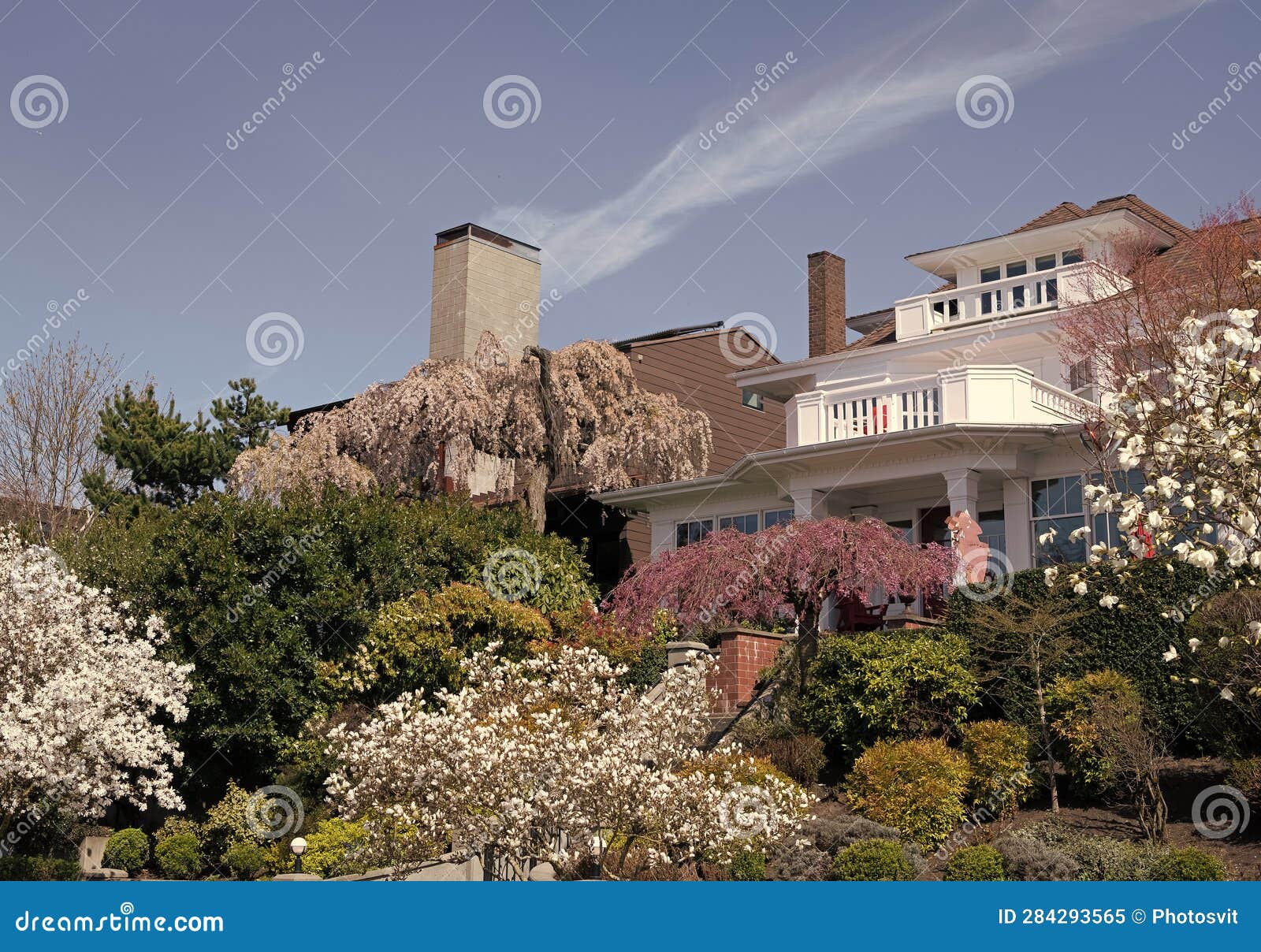 Cottage House in Garden Yard. Suburb Architecture Stock Image - Image ...