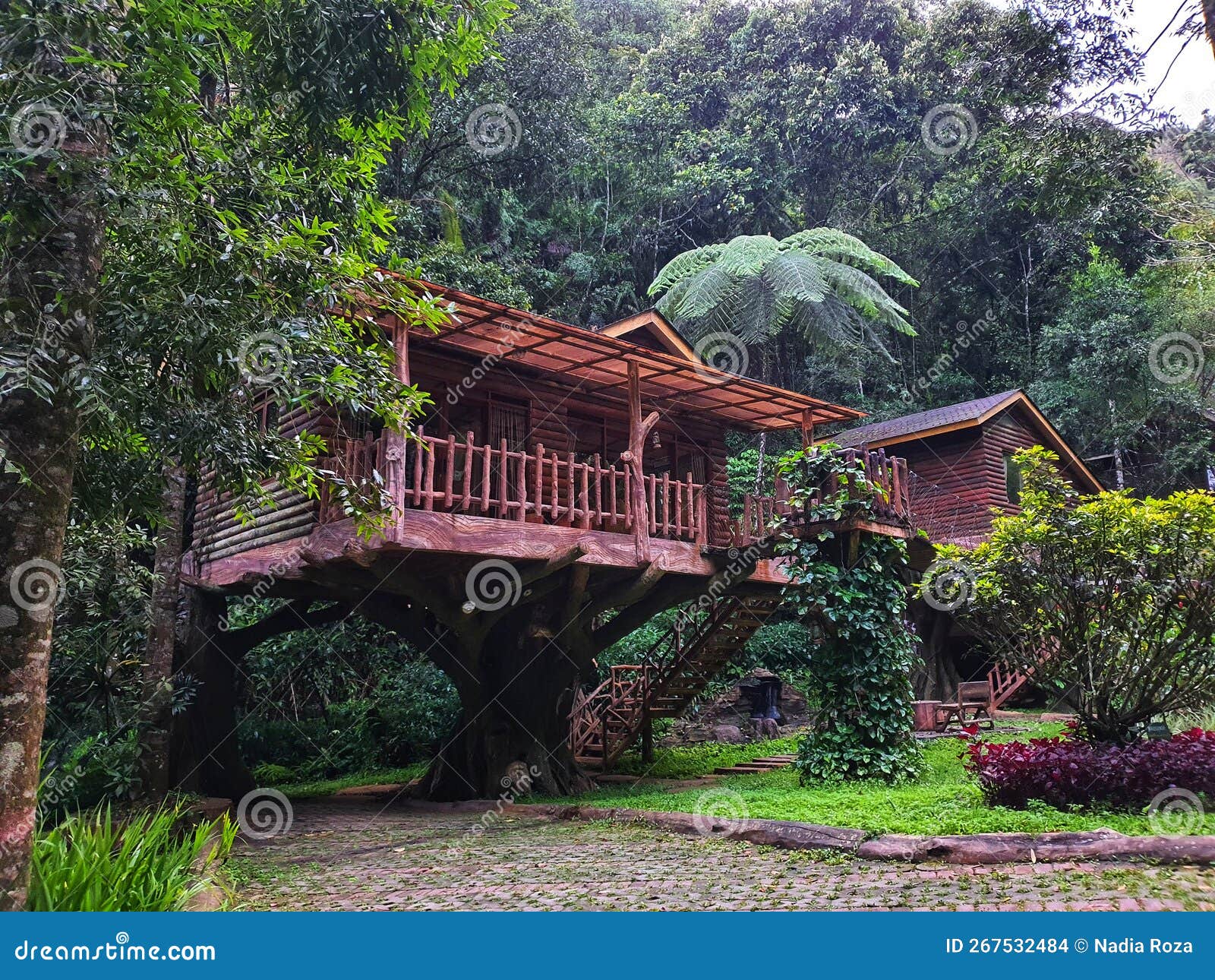 Cottage in the jungle stock photo. Image of garden, forest - 267532484