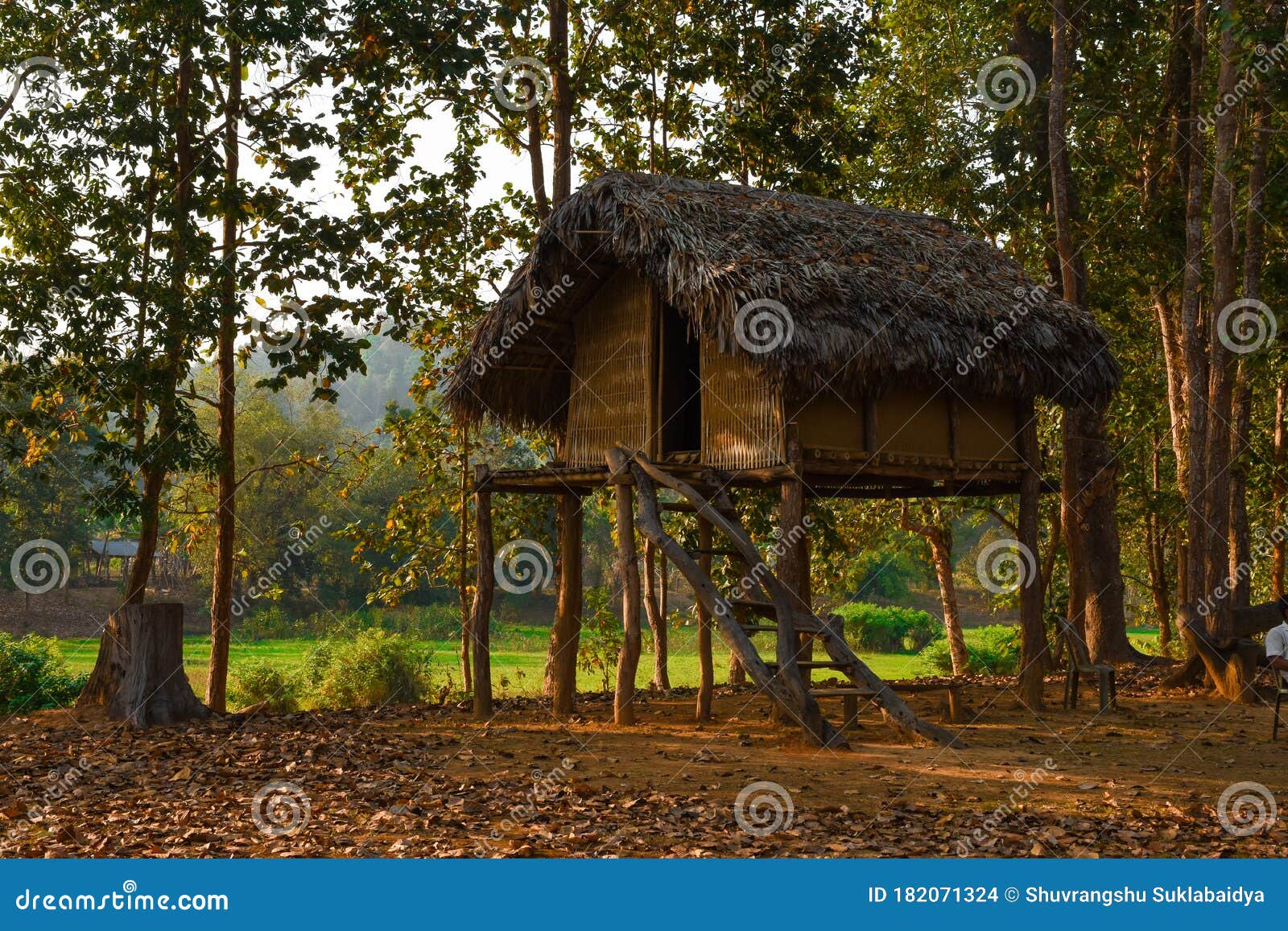 A Cottage in the Middle of Forest Made of Bamboo .Tree House Stock ...