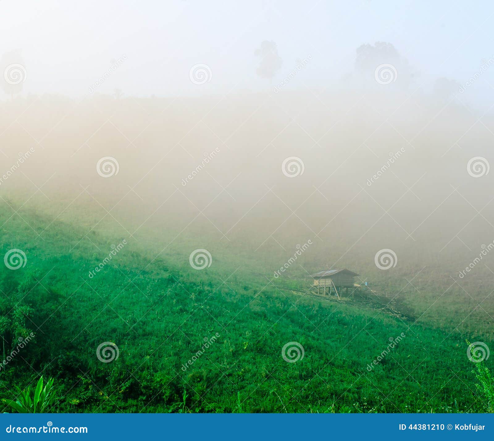 Cottage in the Mist on Hill Stock Photo - Image of foggy, cloudy: 44381210