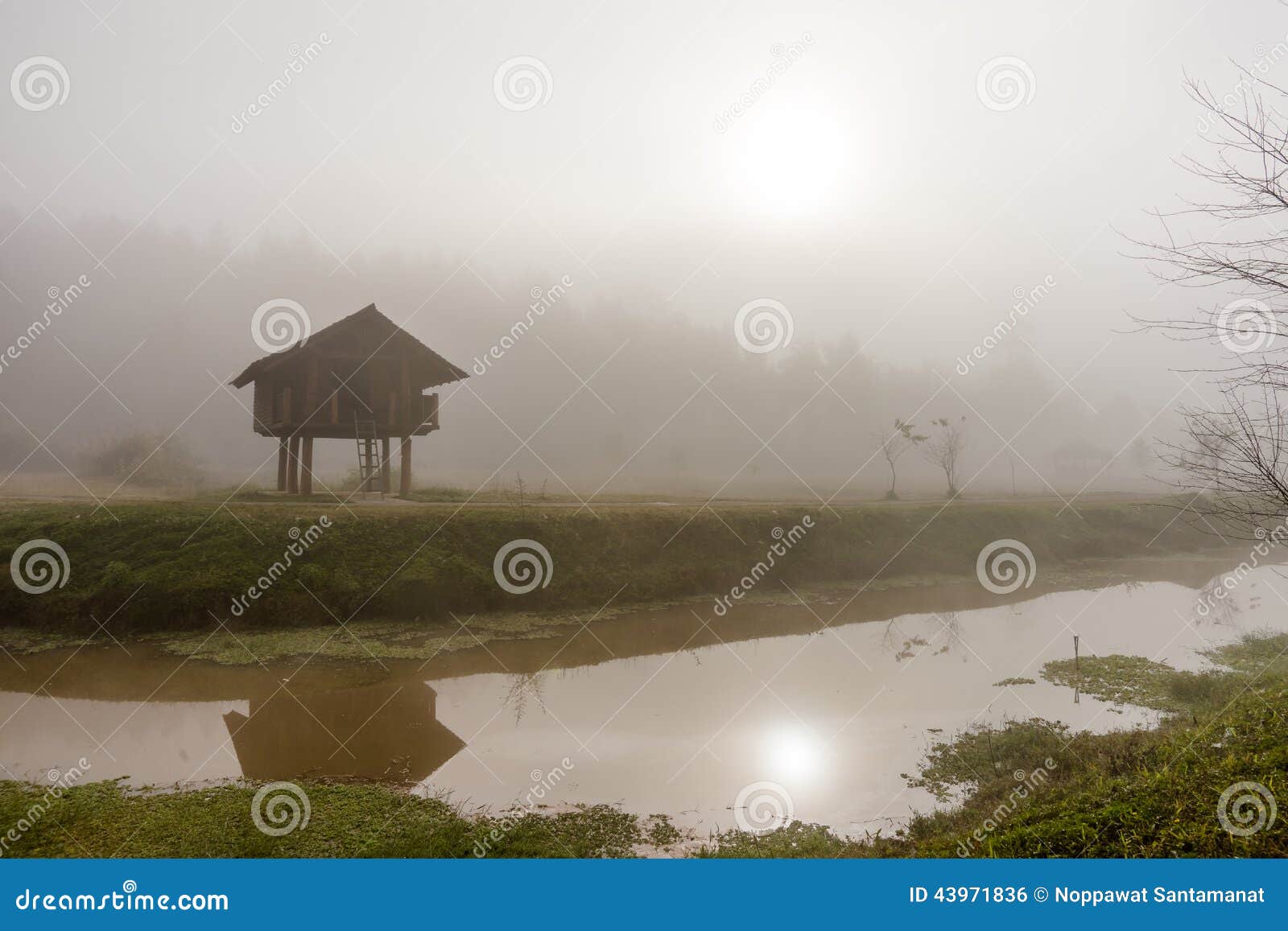 Cottage in the Mist stock photo. Image of cottage, building - 43971836