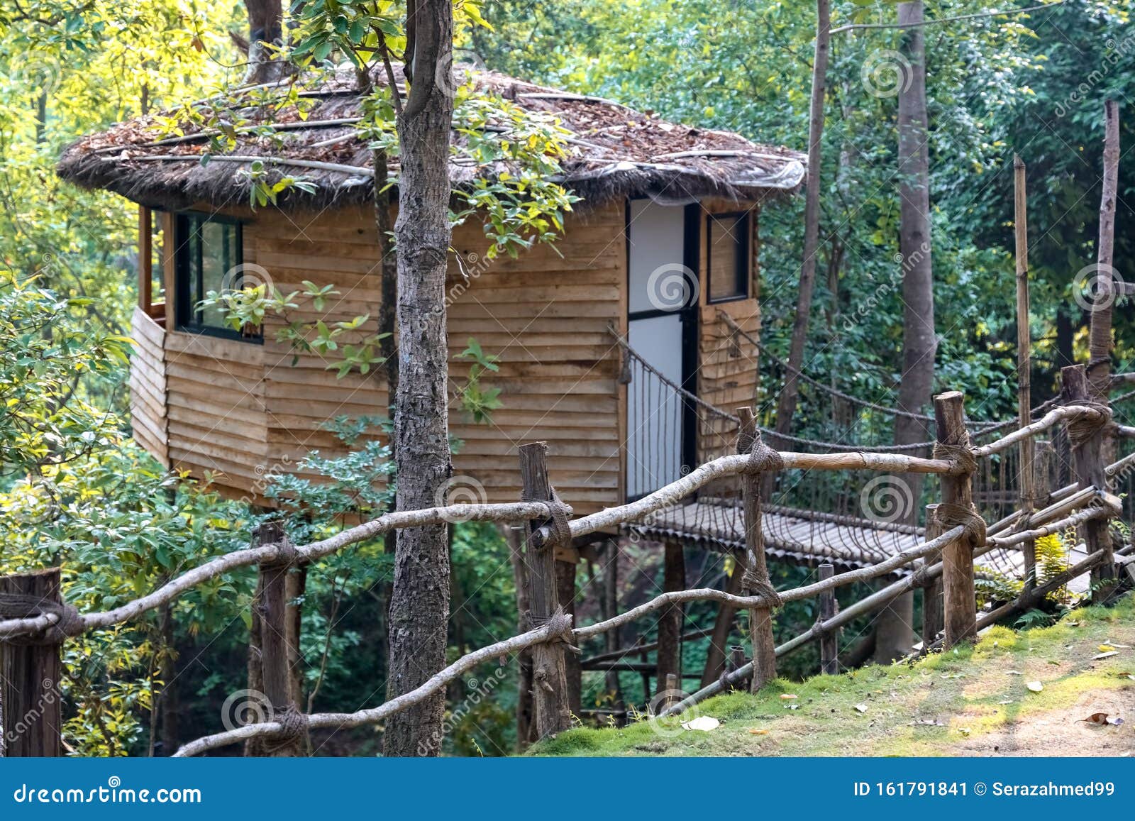 Cottage Style Tree House in the Middle of the Forest Stock Image ...