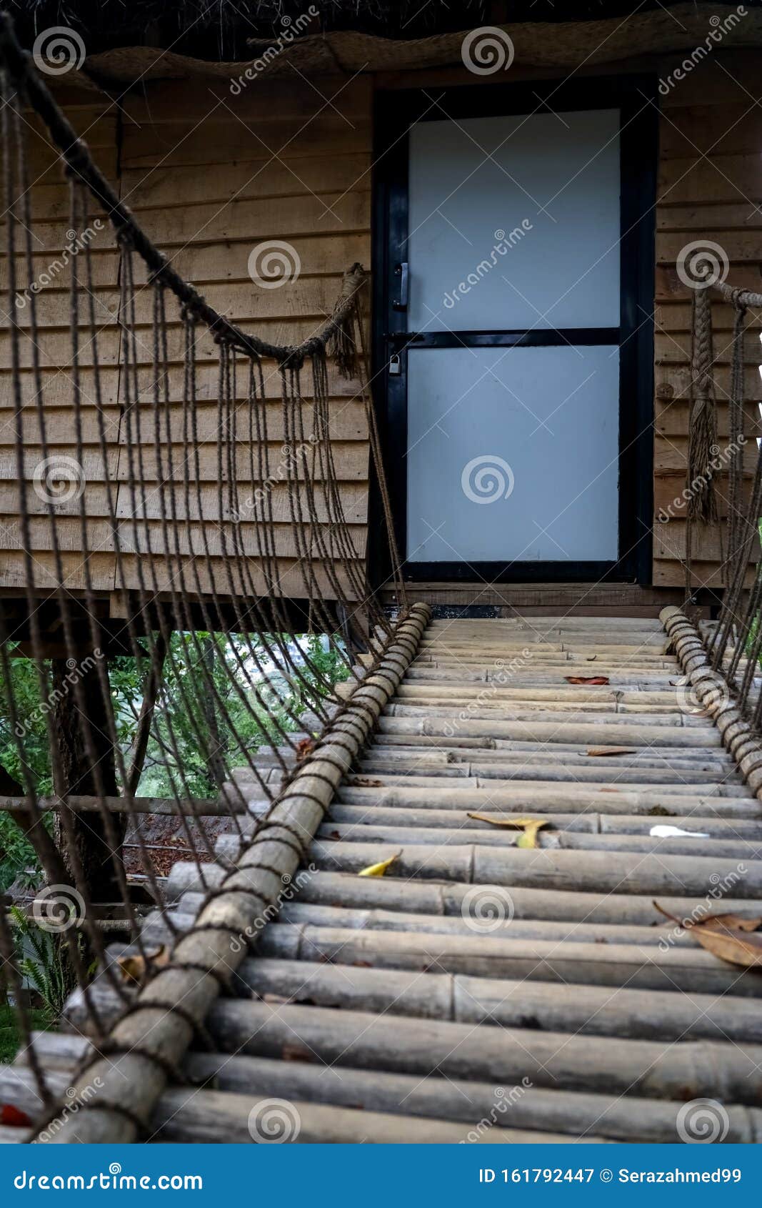 Cottage Style Tree House in the Middle of the Forest Stock Image ...