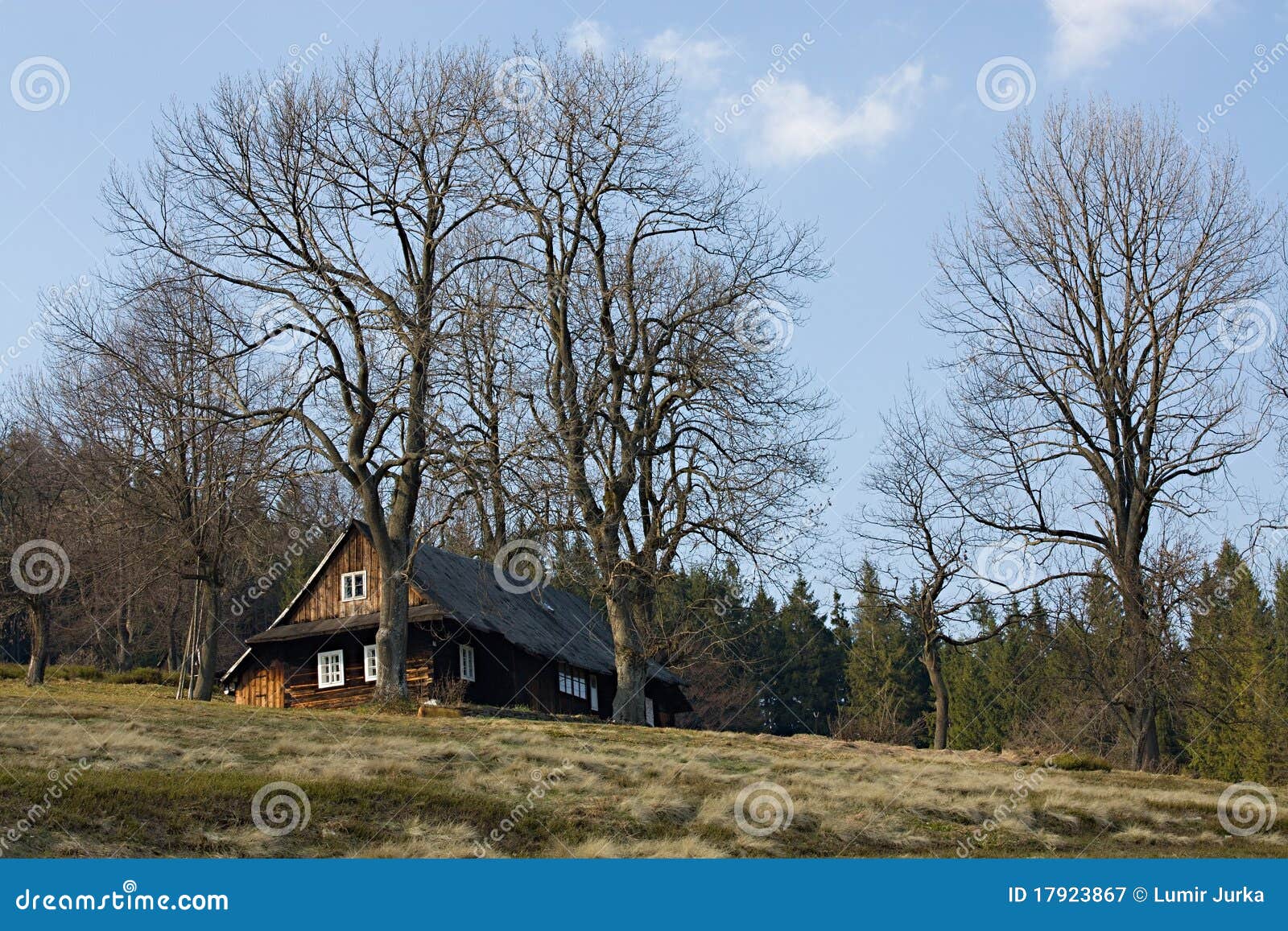 Cottage in the trees stock image. Image of nature, grass - 17923867