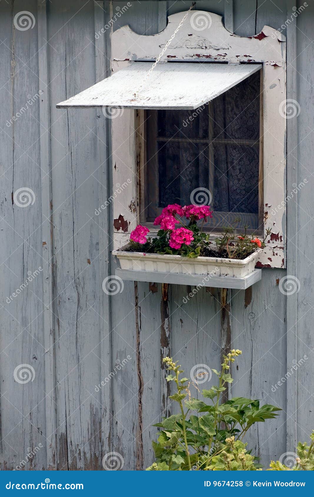 Beautiful Window Boxes Cottage