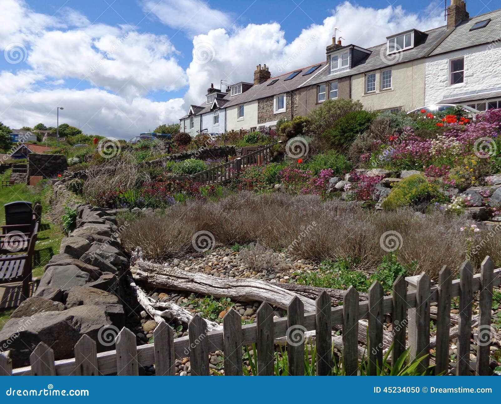 Cottages Overlooking Craster Harbour Northumberland Stock Photo - Image ...