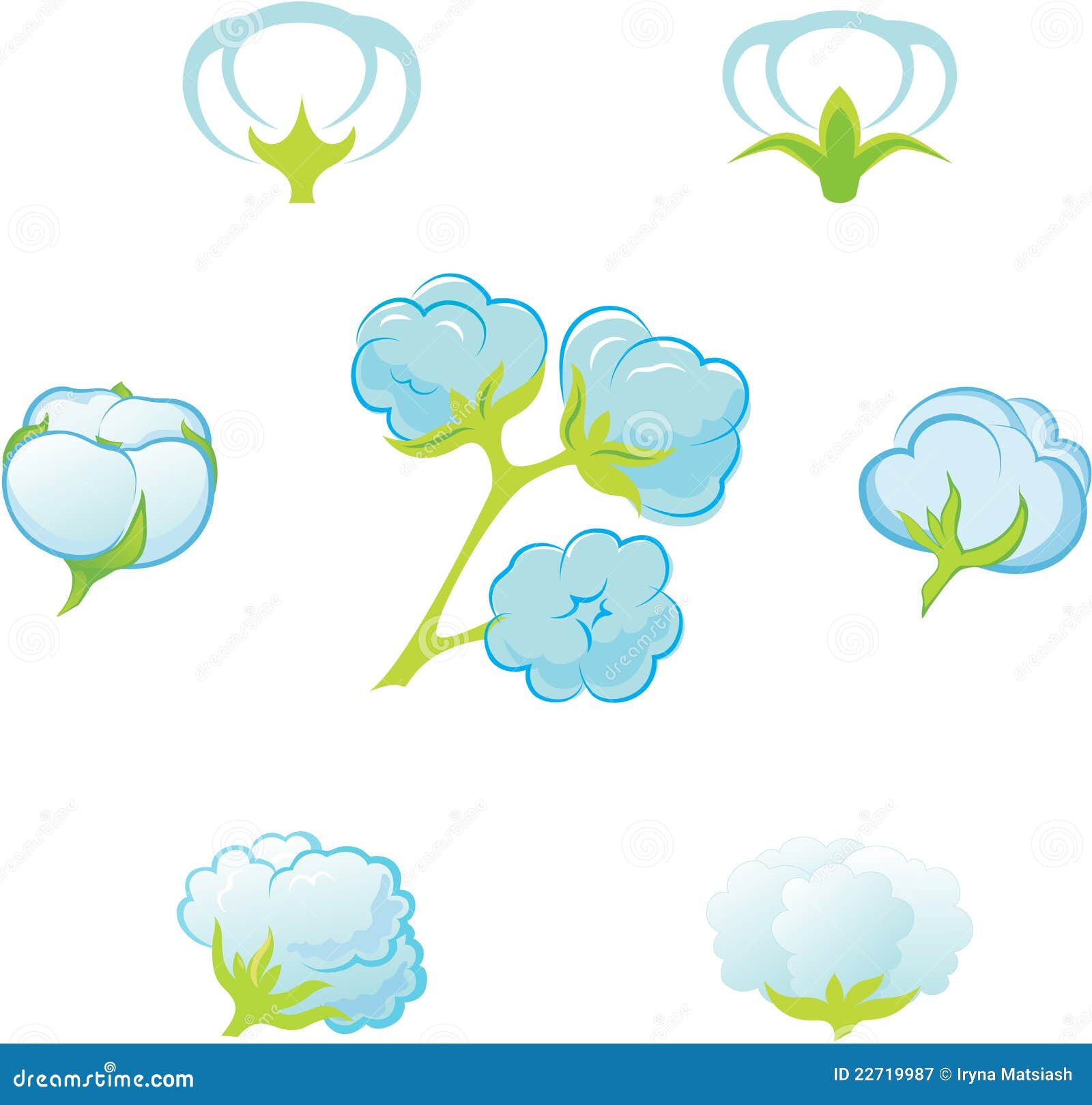Cotton. stock vector. Illustration of sowing, organic - 22719987