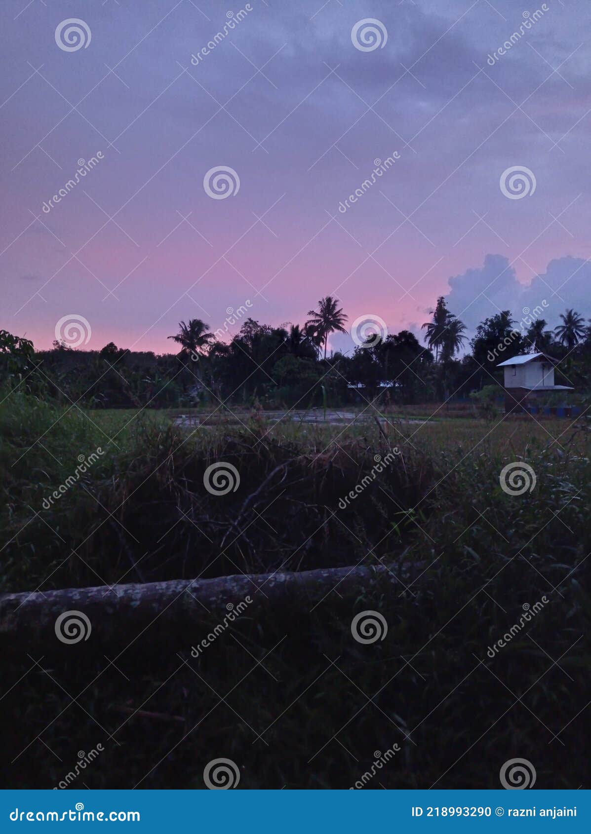 Cotton candy sunset stock photo. Image of light, sunrise - 218993290