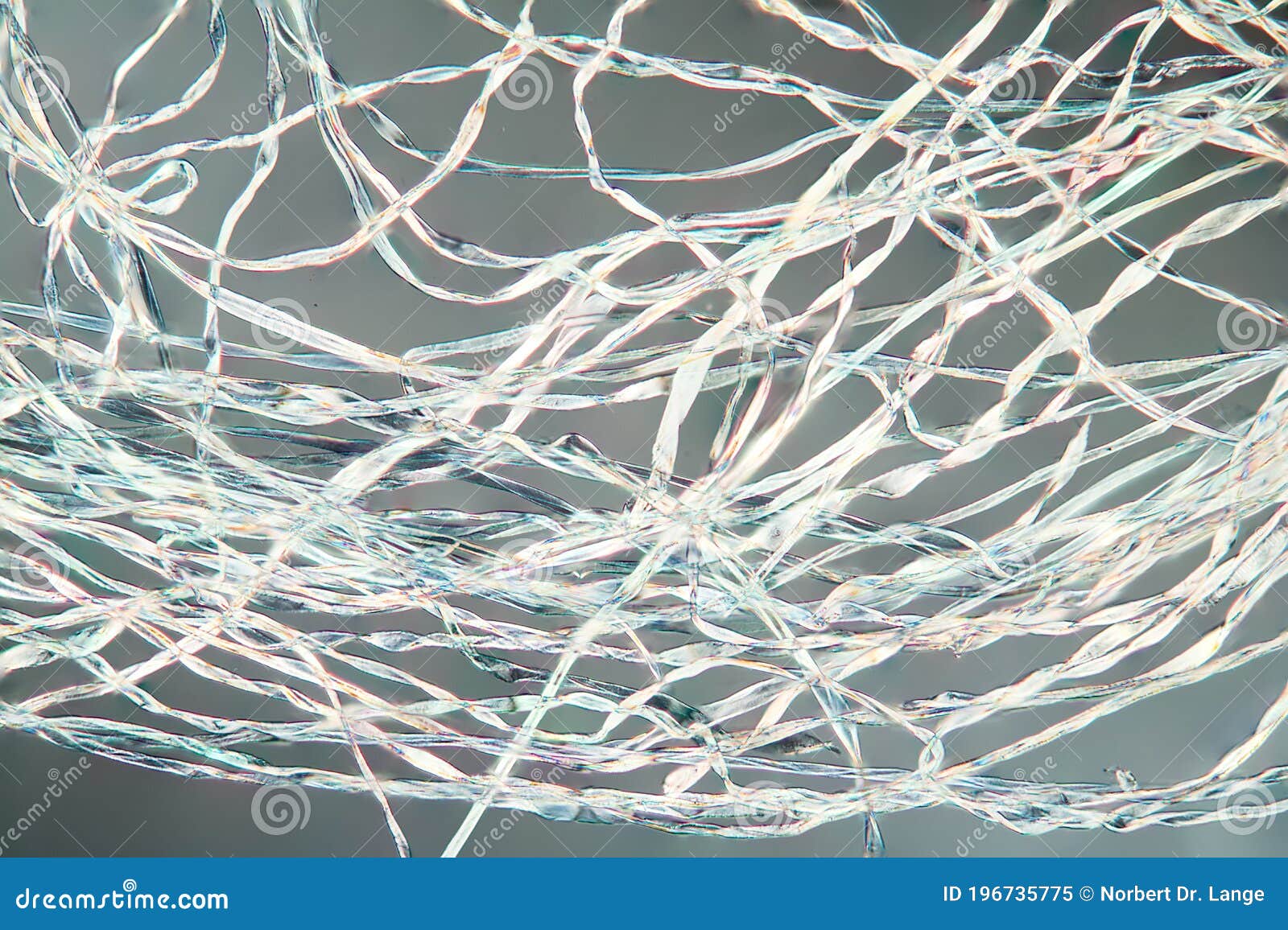 Cotton fibers stock image. Image of magnification, fabric - 196735775