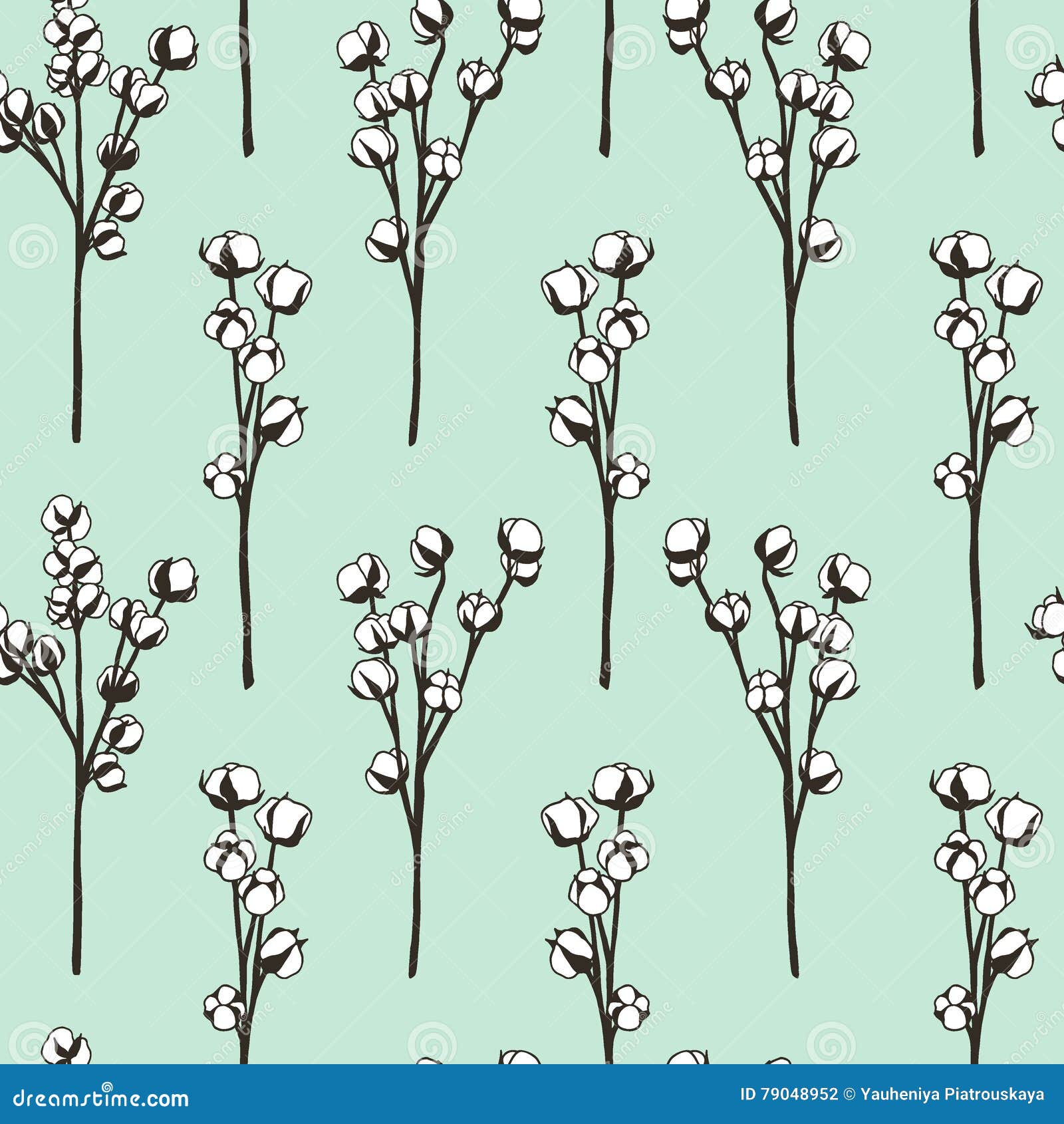 Cotton flowers pattern stock vector. Illustration of organic - 79048952