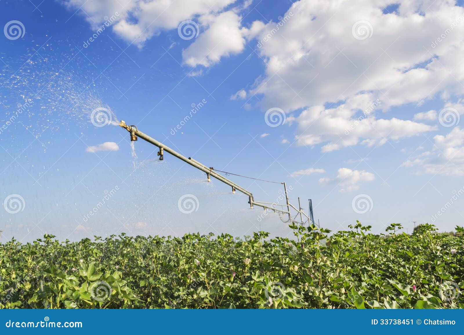 Cotton stock image. Image of earth, soil, weather, water - 33738451