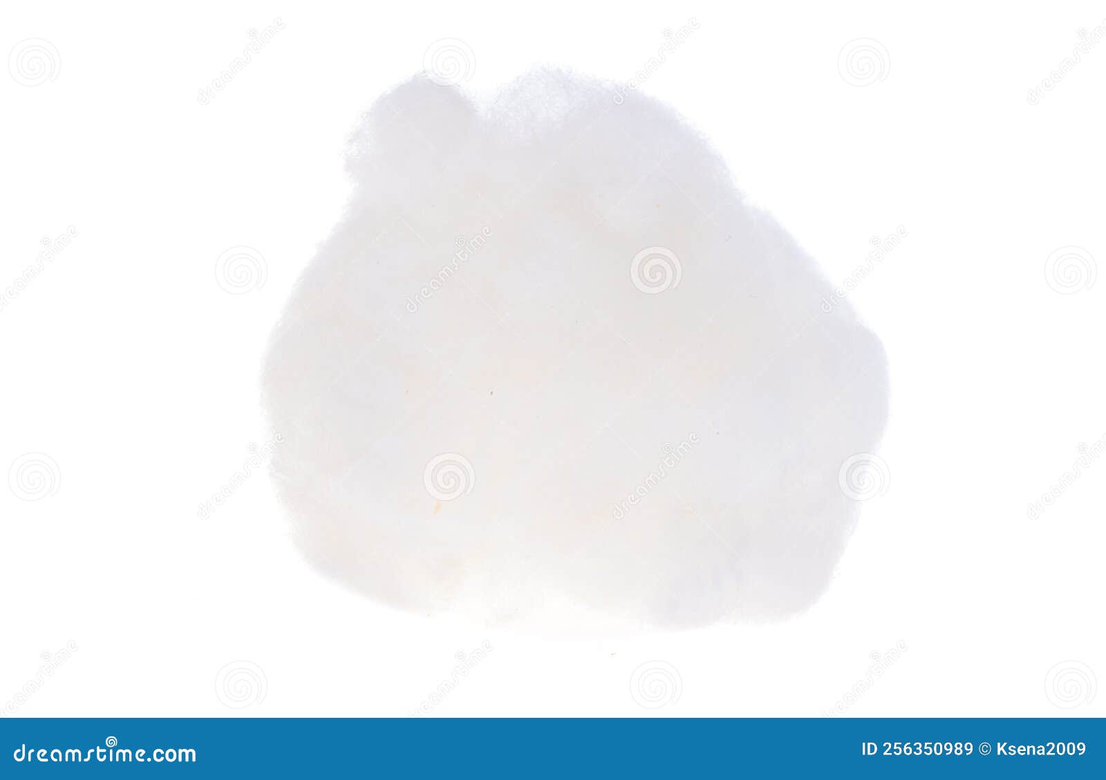 Cotton flourish isolated stock image. Image of white - 256350989