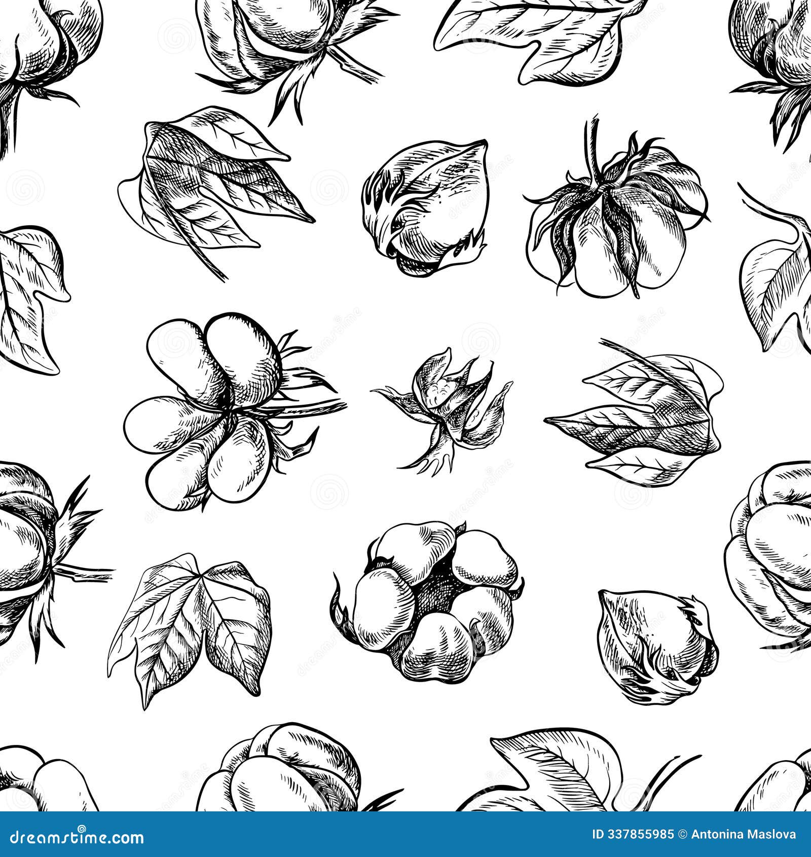 The Cotton is Organic. Seamless Black and White Pattern, Graphic Vector ...