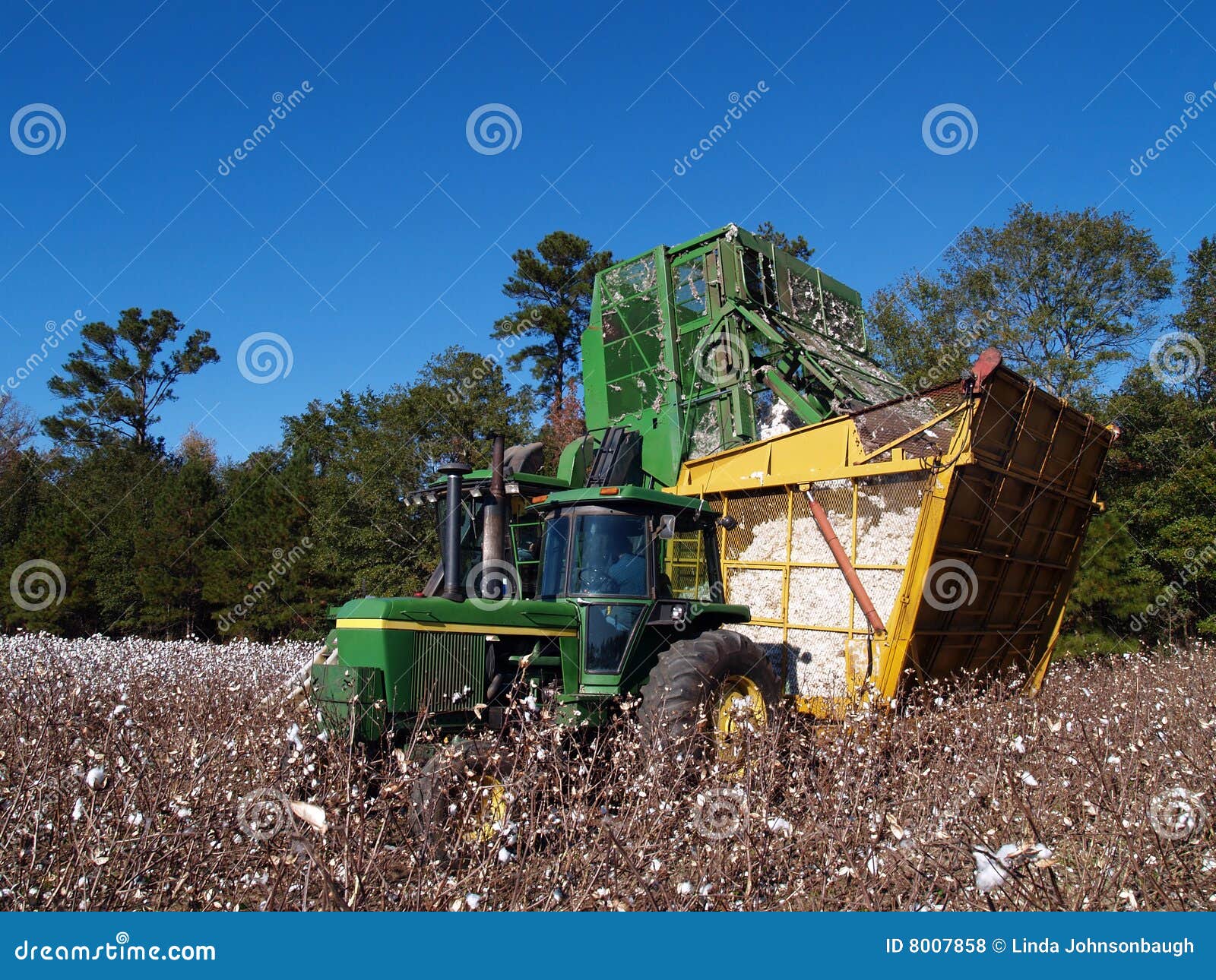 Cotton Picker Harvesting A Field Royalty-Free Stock Photography ...