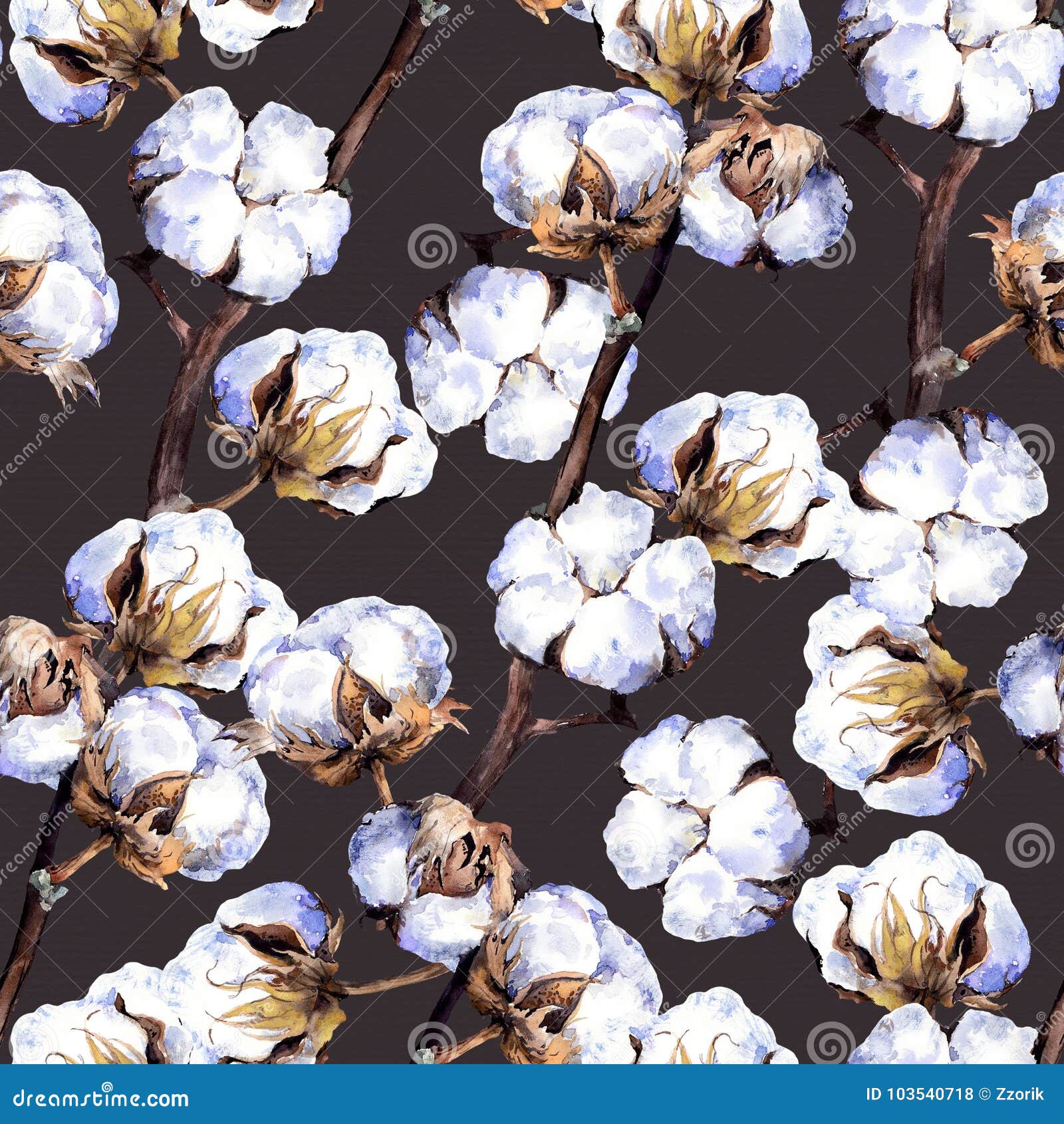 Cotton Plant Branches at Black Back. Repeating Pattern. Watercolor ...