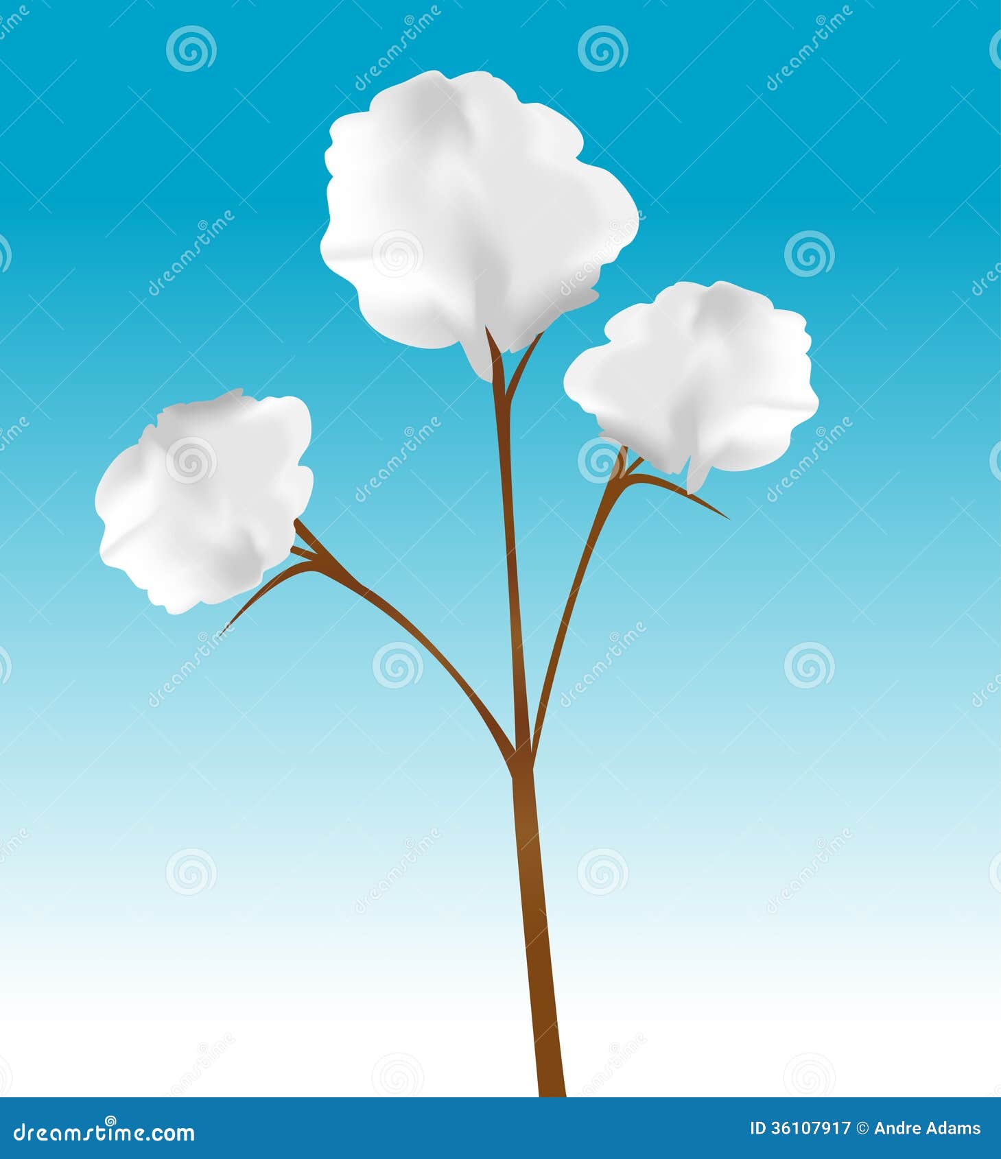 Cotton plant stock vector. Illustration of fiber, soft - 36107917