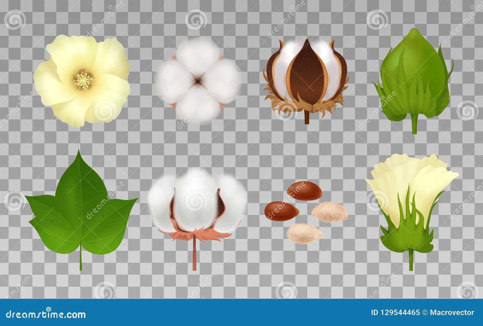 Cotton Realistic Transparent Icon Set Stock Vector - Illustration of ...