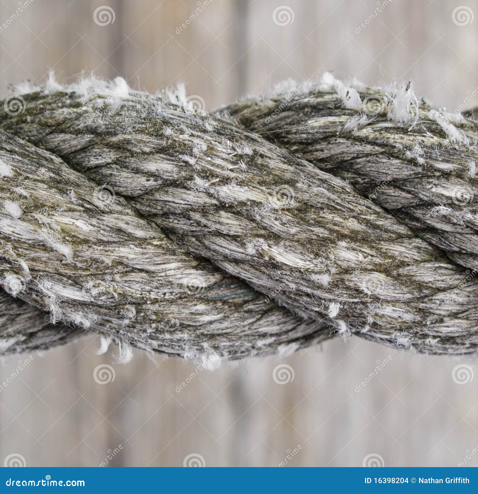 Cotton rope stock photo. Image of stark, cotton, rhythm - 16398204
