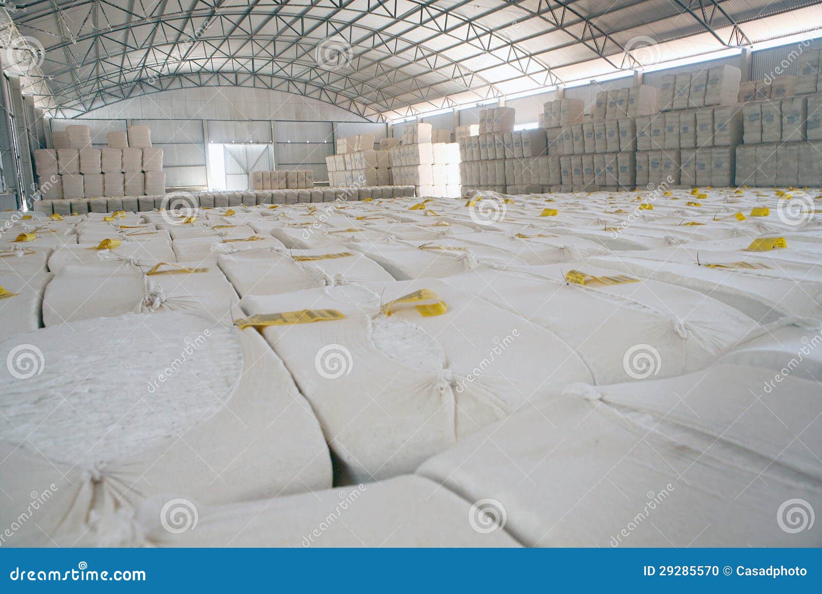 Cotton storage stock photo. Image of capsule, softness - 29285570