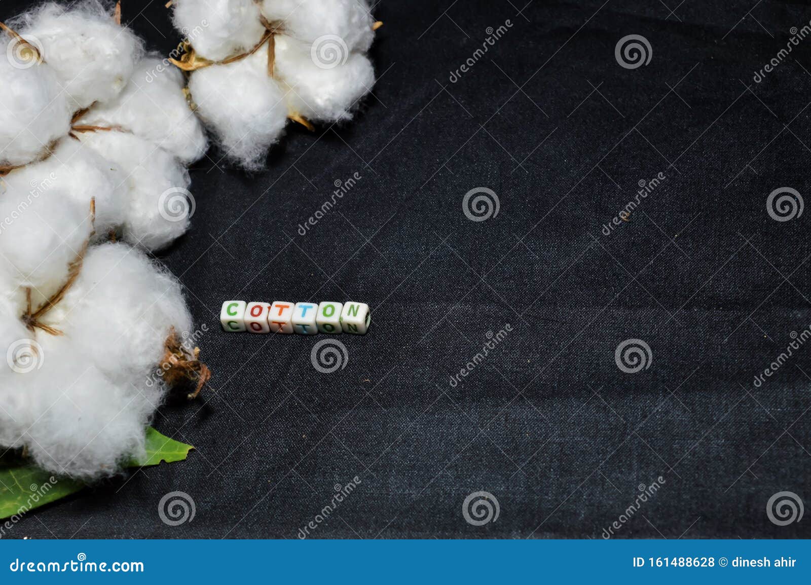 Cotton Written Text,cotton Text Stock Photo - Image of farm, fiber ...