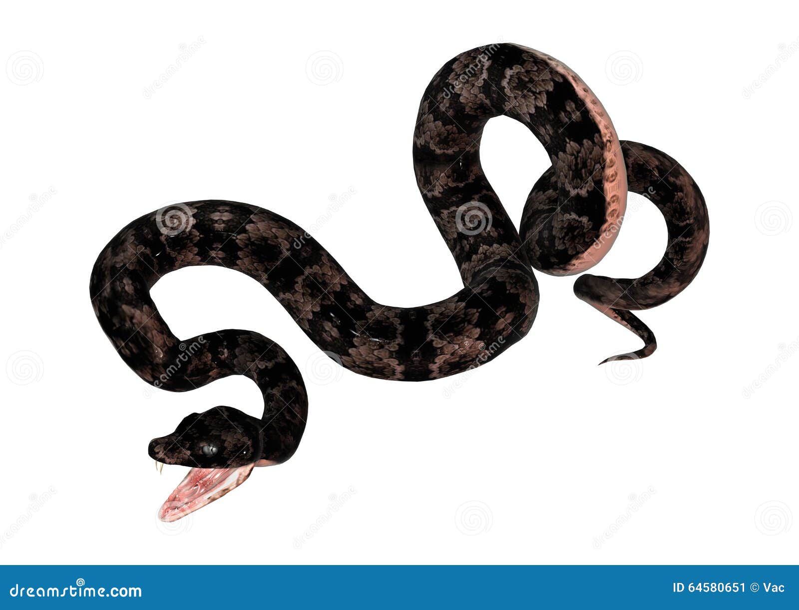 Snake Cottonmouth Cartoon Vector Illustration | CartoonDealer.com ...