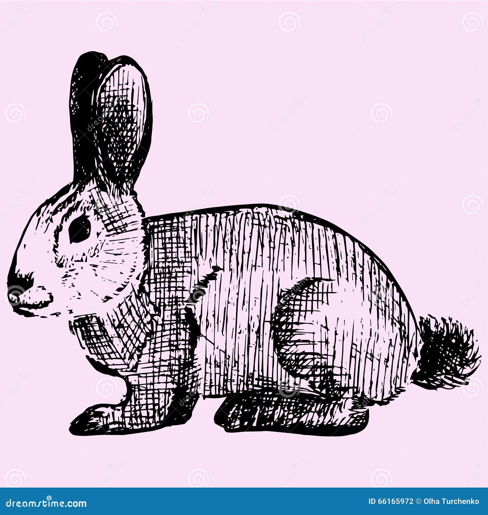 Cottontail Cartoons, Illustrations & Vector Stock Images - 718 Pictures ...