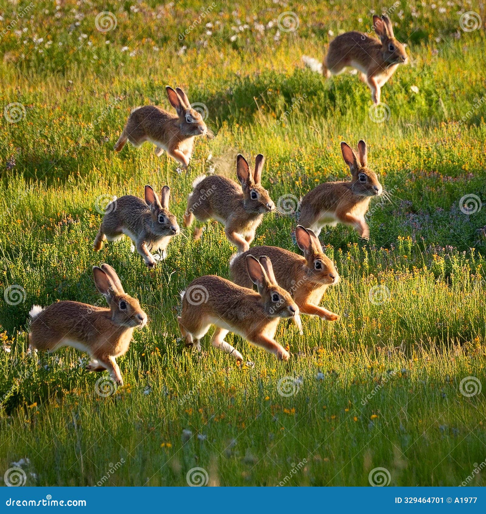 Cottontail Rabbit Running, AI Generated Stock Illustration ...