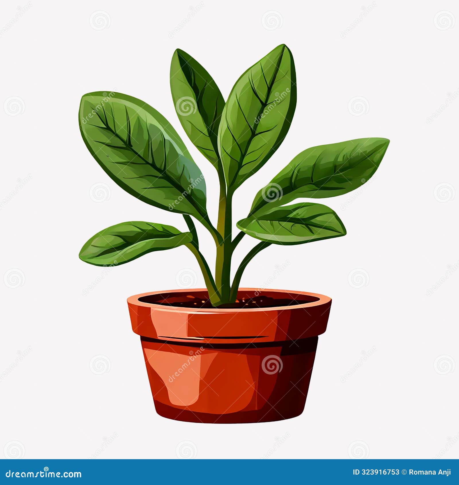 Cotyledon Plant In Pot Iconic Vector Drawing With Plan Background Plant ...