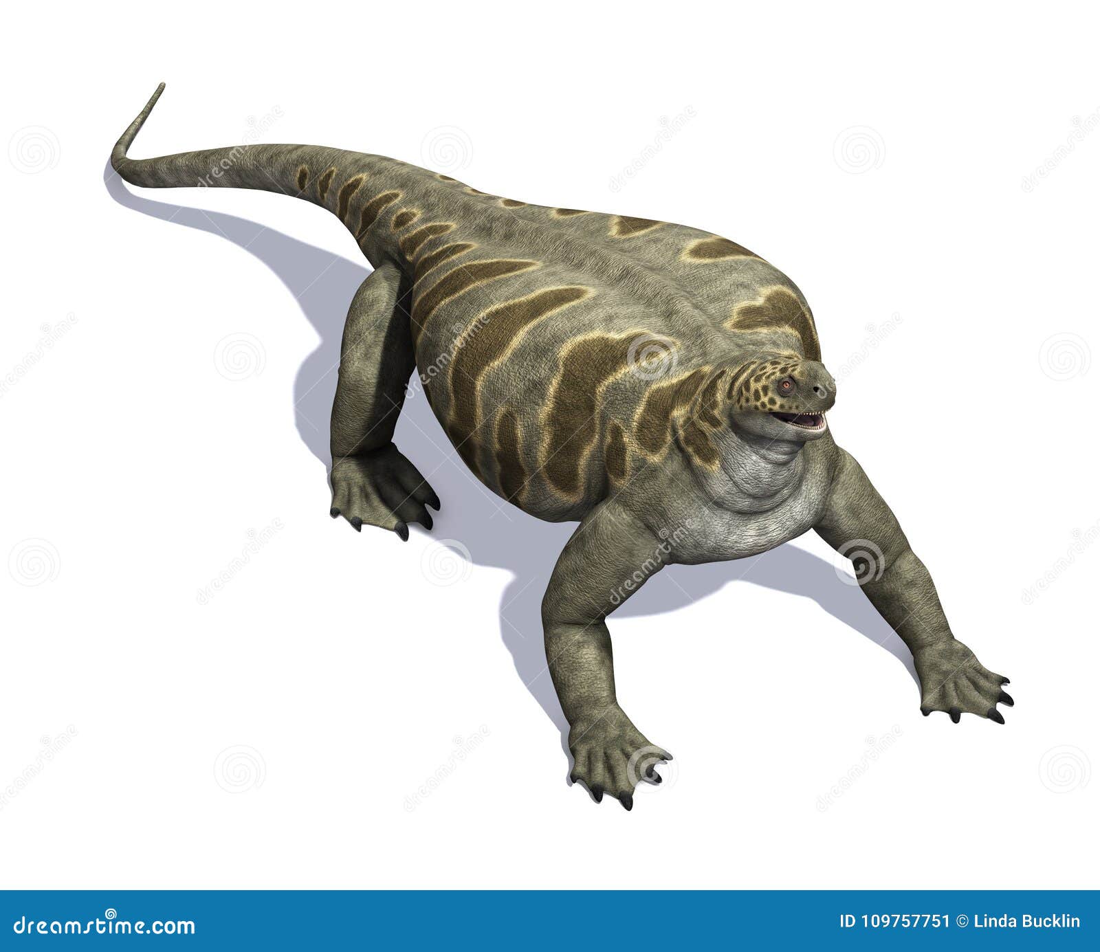 Cotylorhynchus Dinosaur stock illustration. Illustration of rendering ...