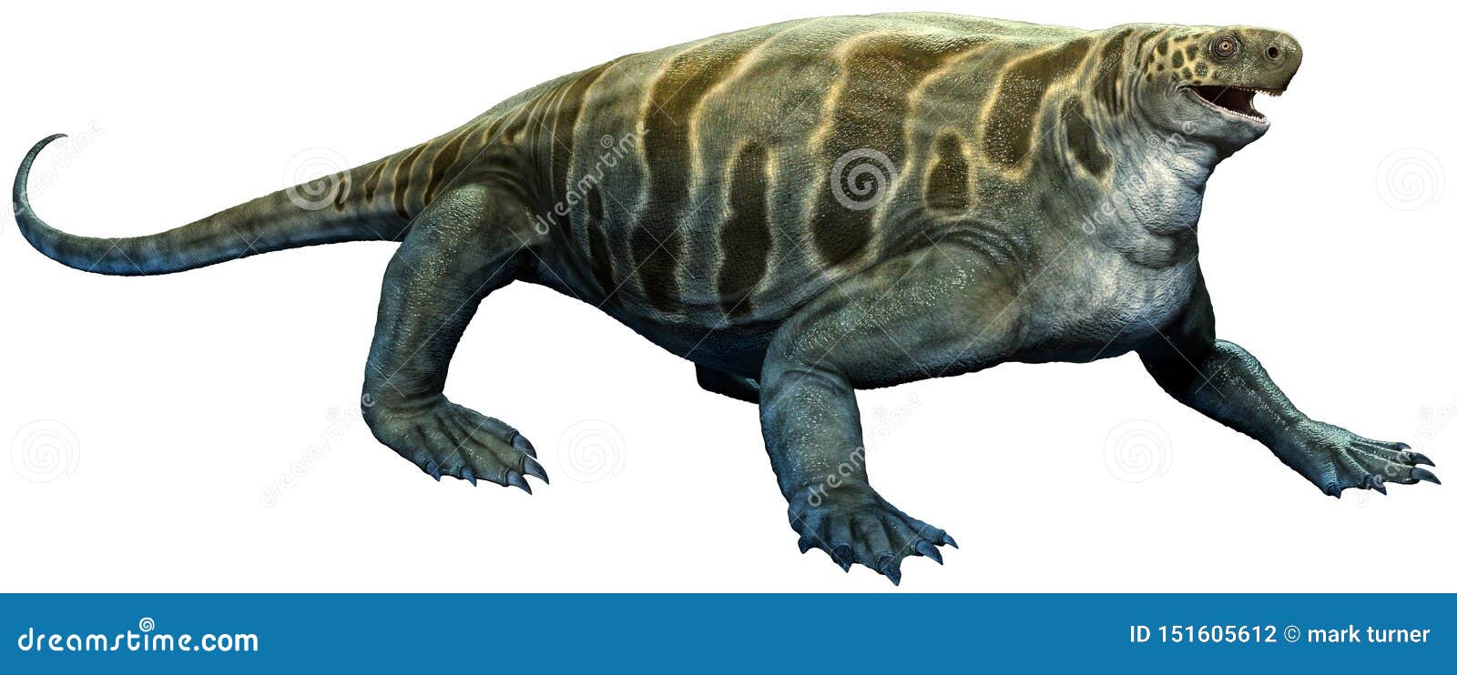 Cotylorhynchus from the Permian Era 3D Illustration Stock Illustration ...