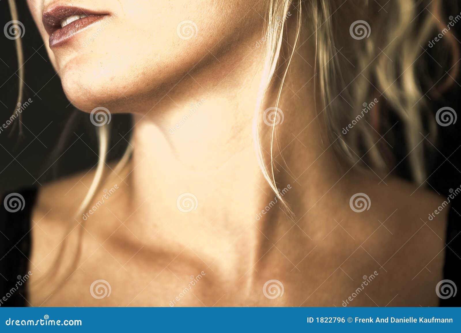 Cou photo stock. Image du lustré, isolement, occasionnel - 1822796