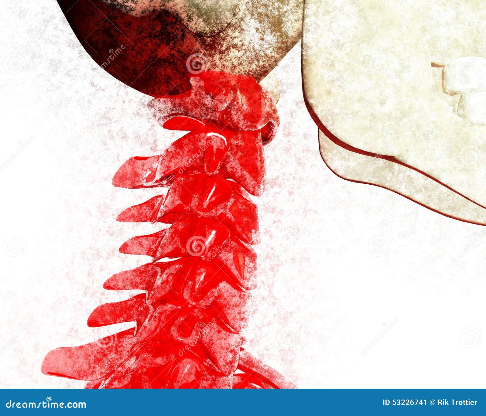 Cou humain illustration stock. Illustration du souple - 53226741