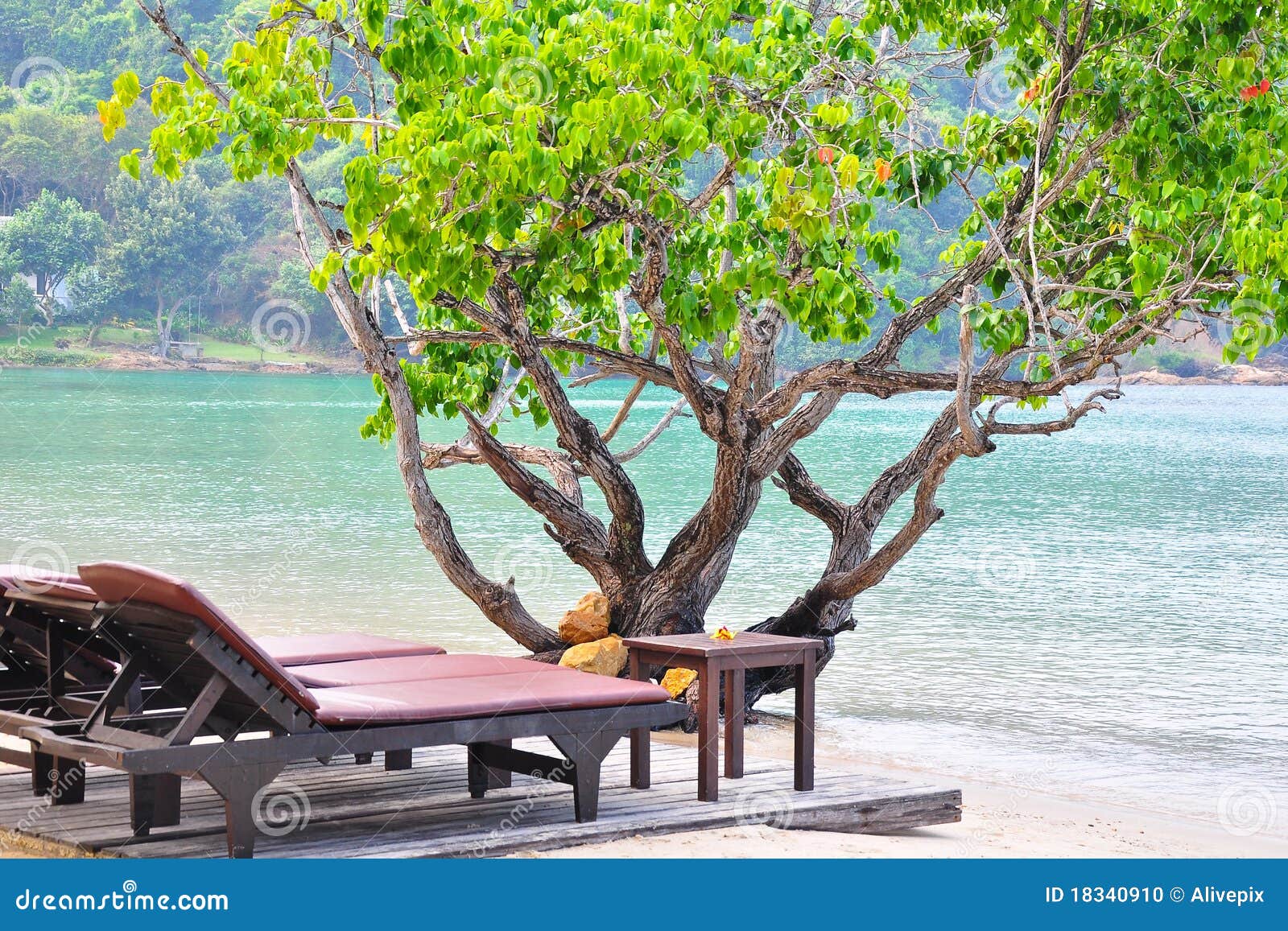 Couch on the beach stock photo. Image of basket, coast - 18340910
